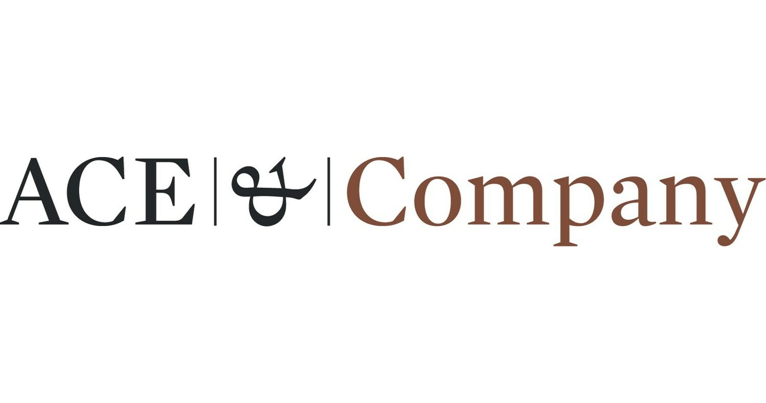 ACE & Company's Buyout Strategy Maintains Brisk Investment Pace ...