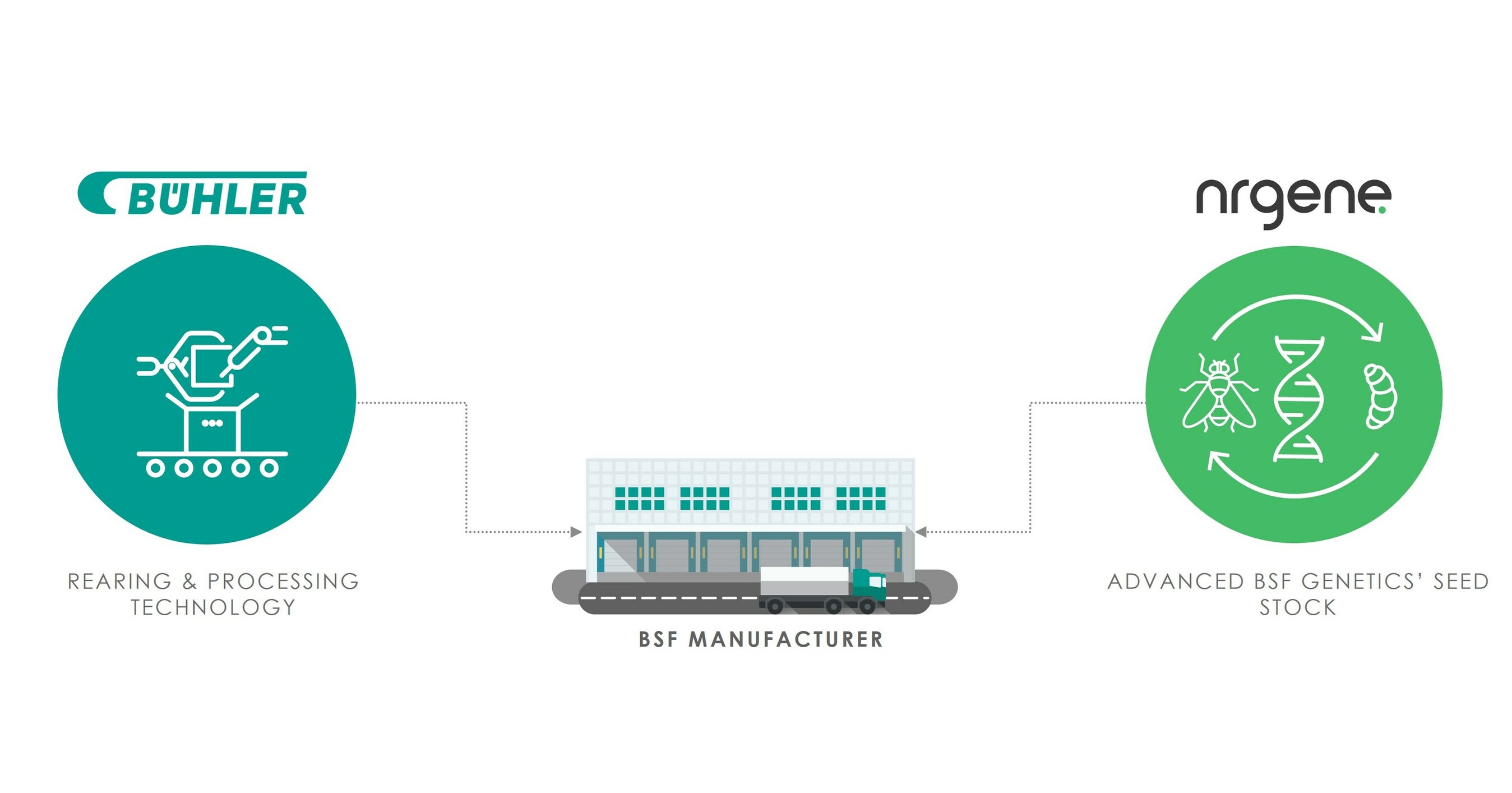 Bühler and NRGene collaborate to increase competitiveness of black ...