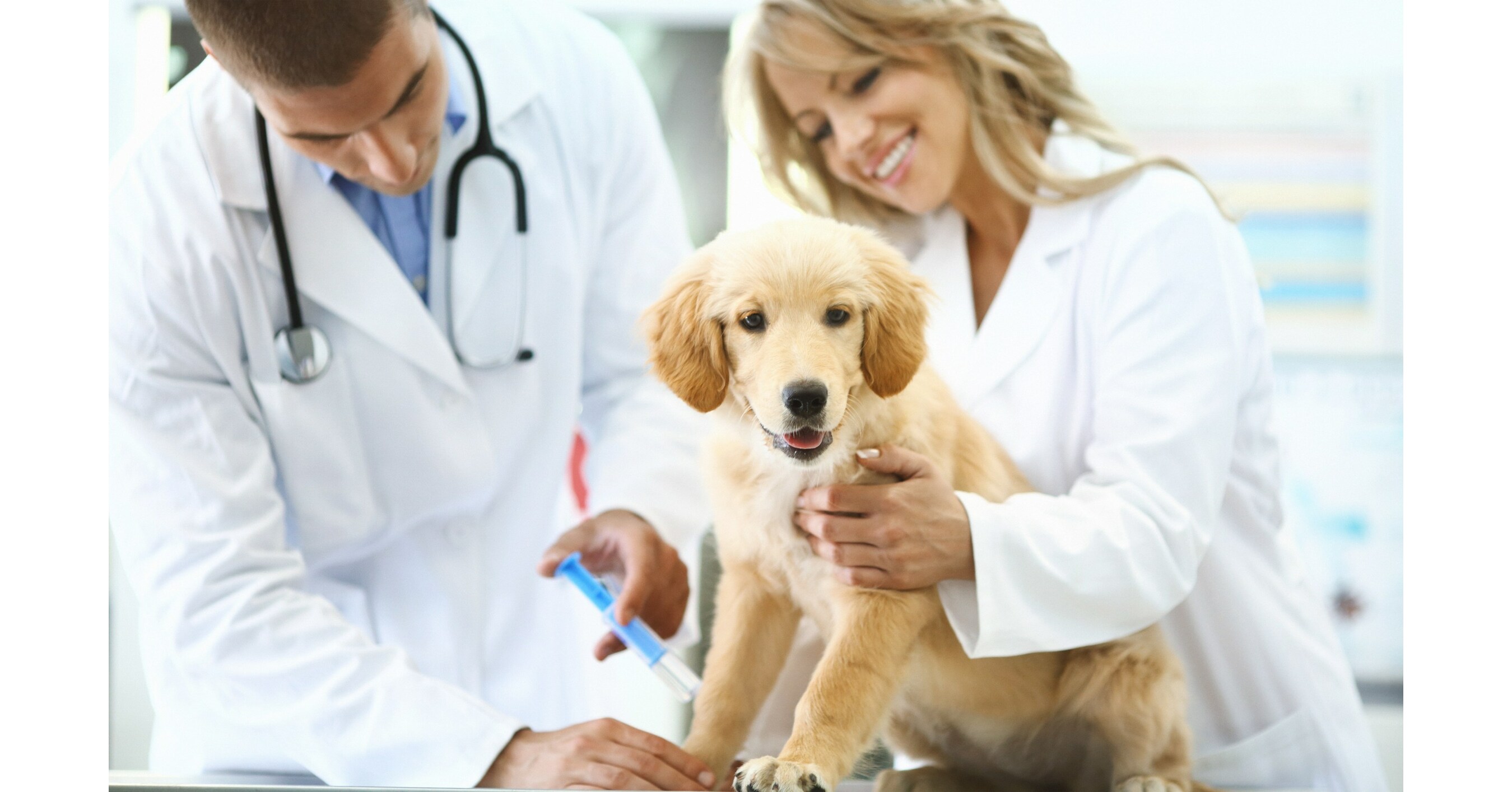 Synchrony's CareCredit Now Offered at More Than 95% of Veterinary ...
