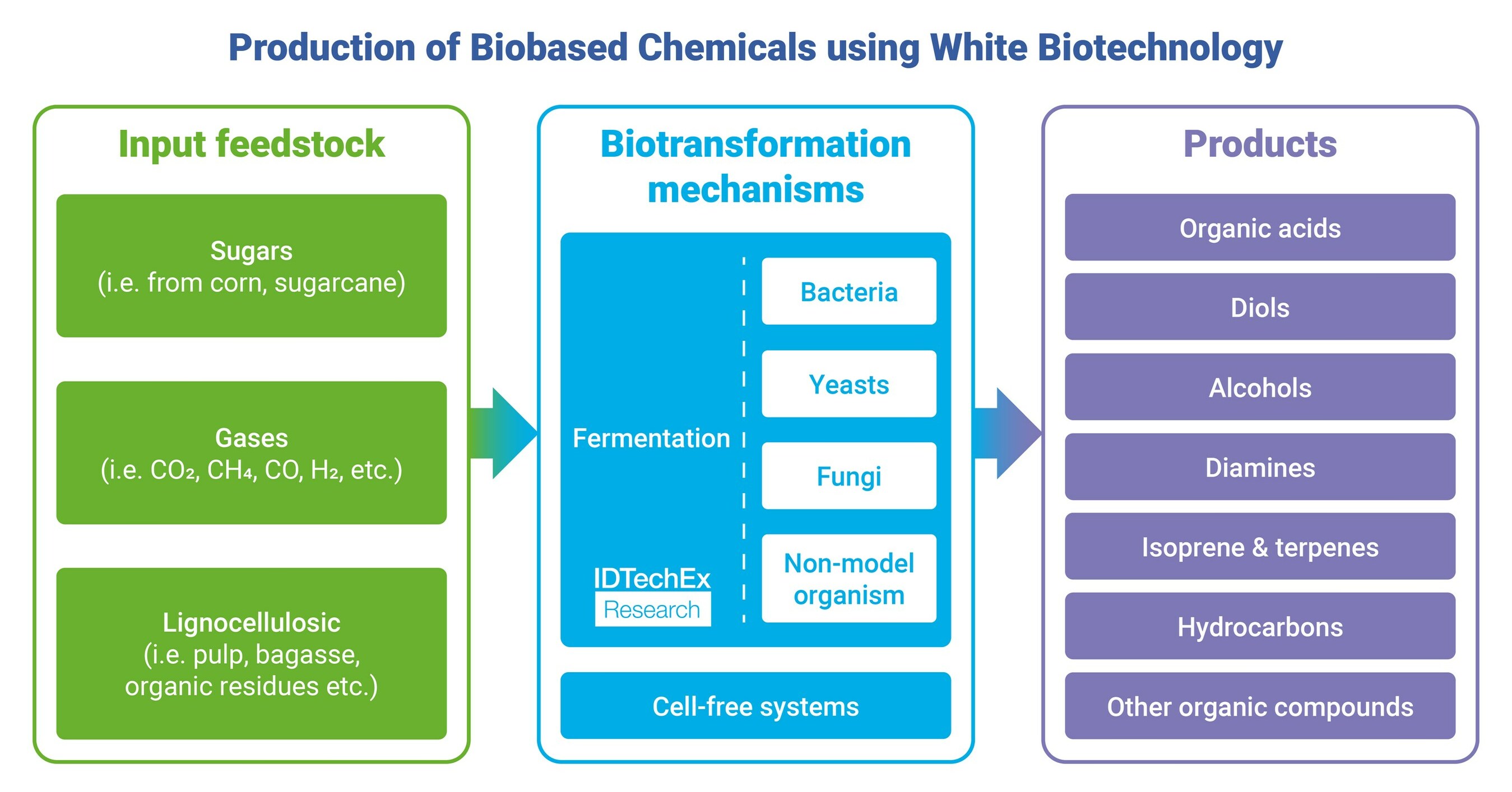 How White Biotechnology Is Innovating to Advance the Global Bioeconomy ...