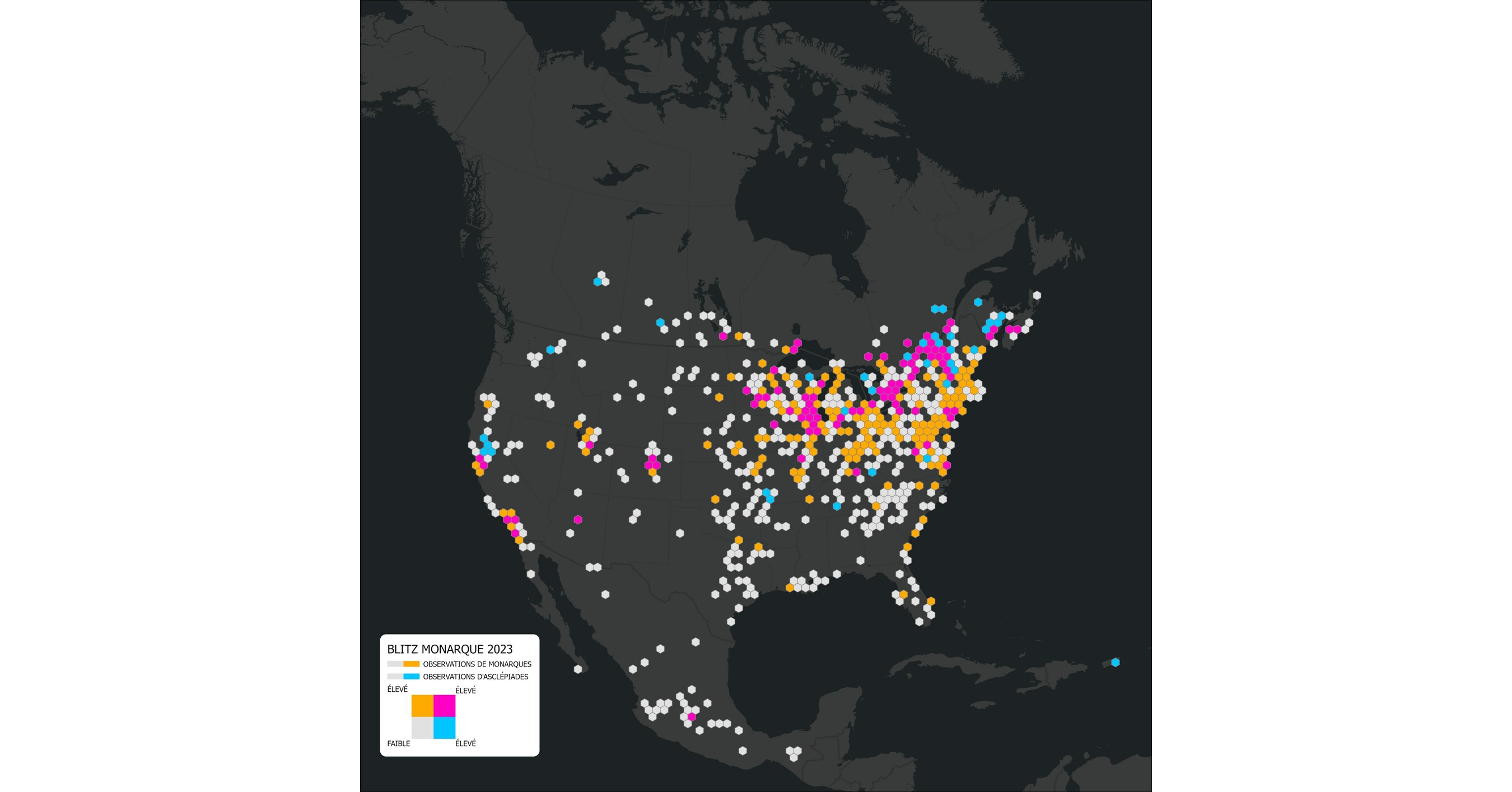Résultats du Blitz international de suivi du monarque : une autre année ...
