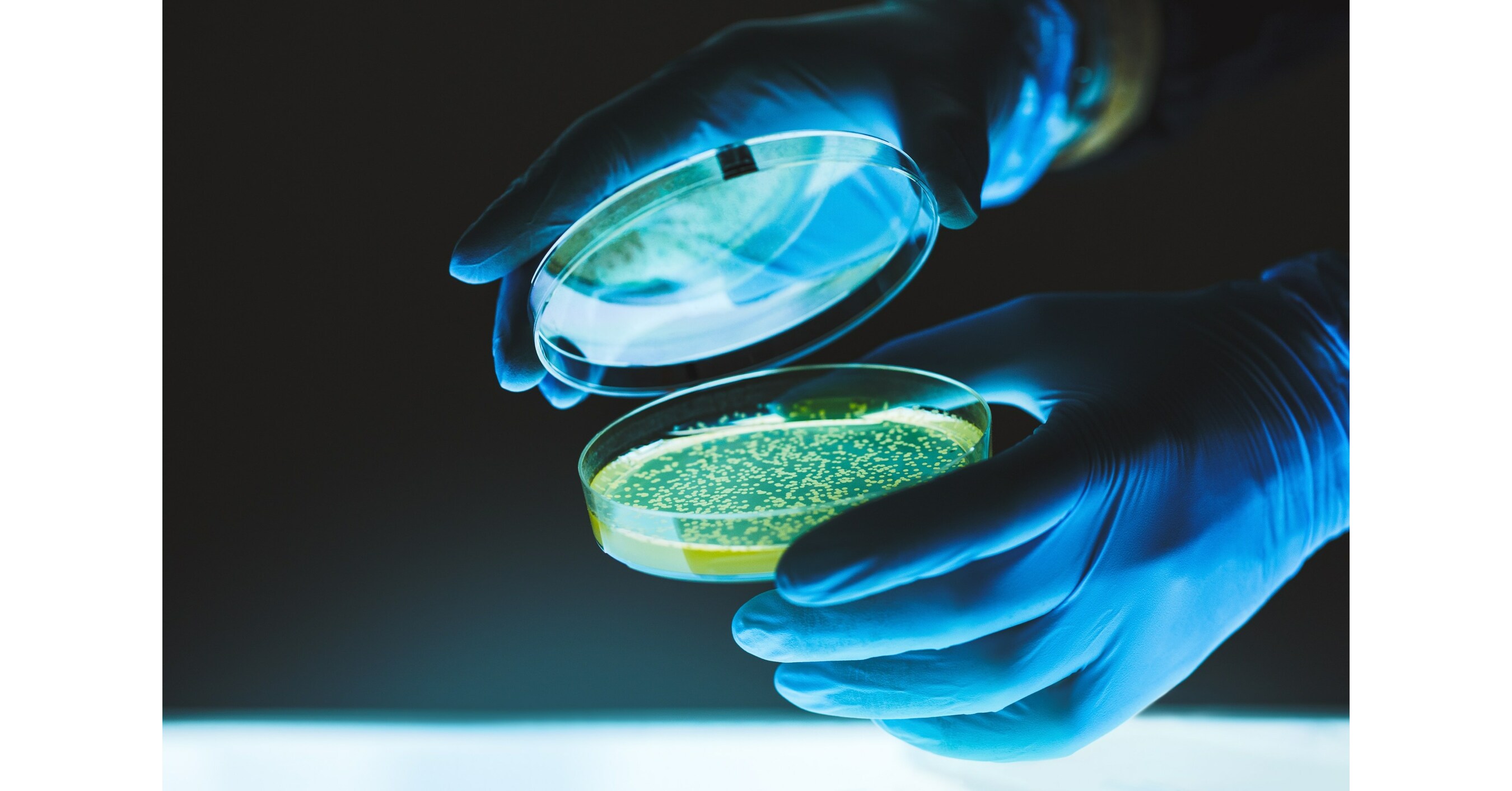 Factorial Biotechnologies and Ginkgo Bioworks Partner To Develop Enzyme ...