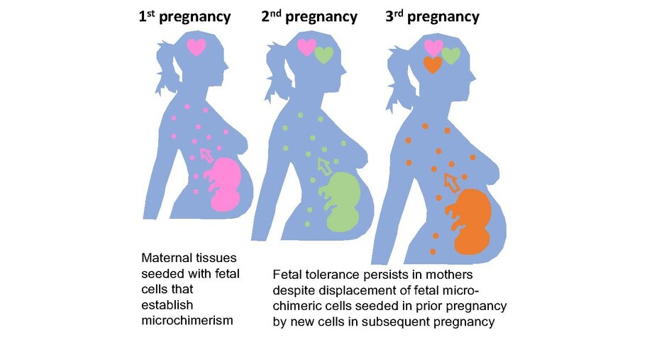 Moms Ability To Remember Prior Pregnancies Suggests New Strategies