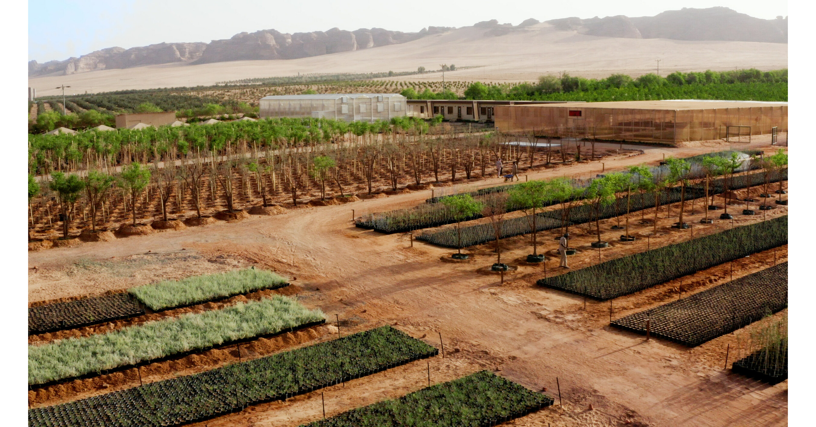 THE ROYAL COMMISSION FOR ALULA TO HIGHLIGHT SUCCESSES IN REVITALISING ...