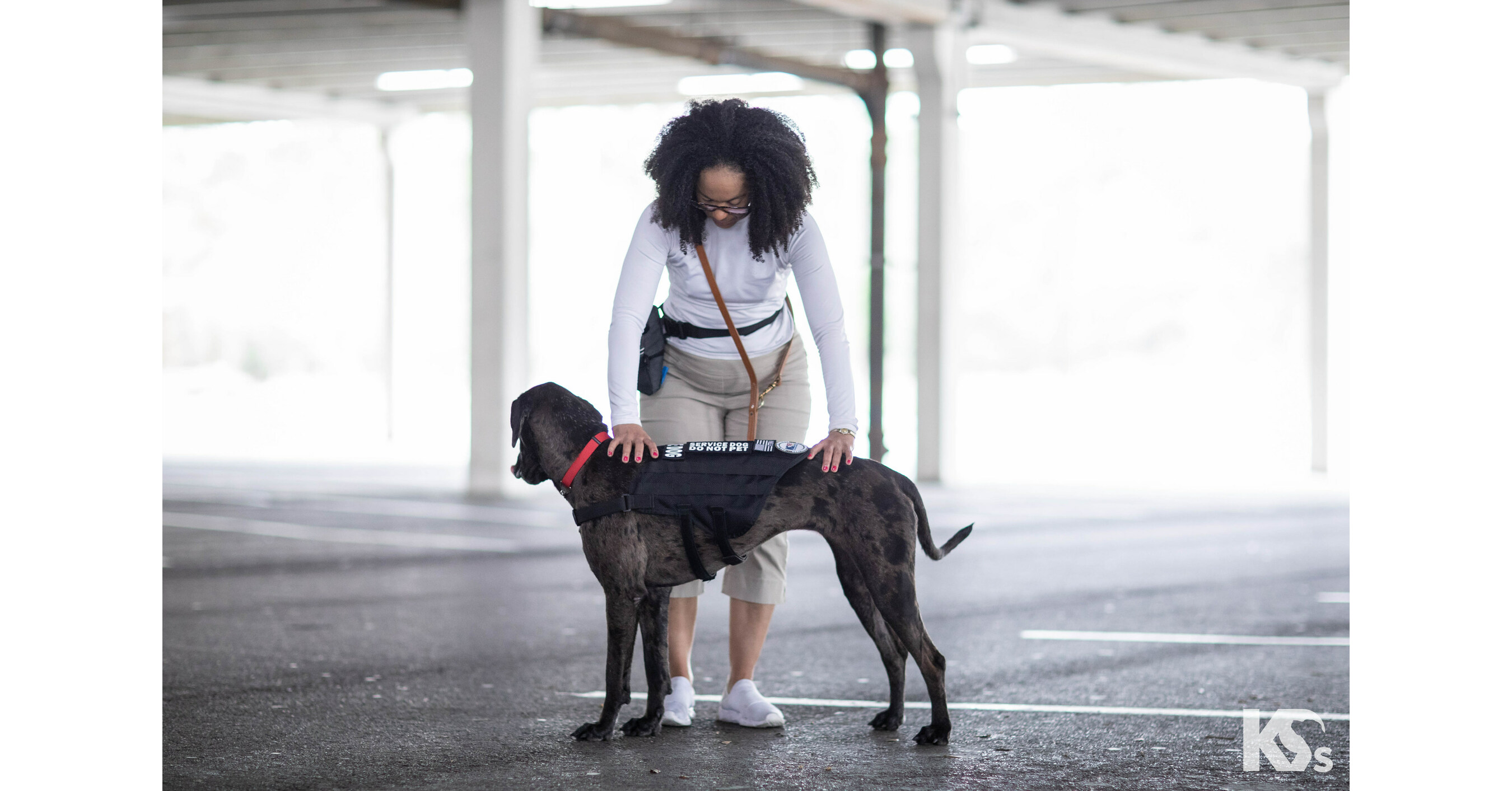 Congressional Resolution Marks Sept. 20th as National Service Dog Day