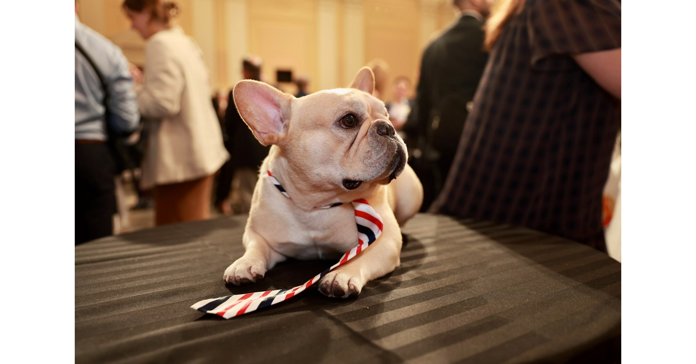 Pet Night on Capitol Hill Celebrates America's Love of Pets