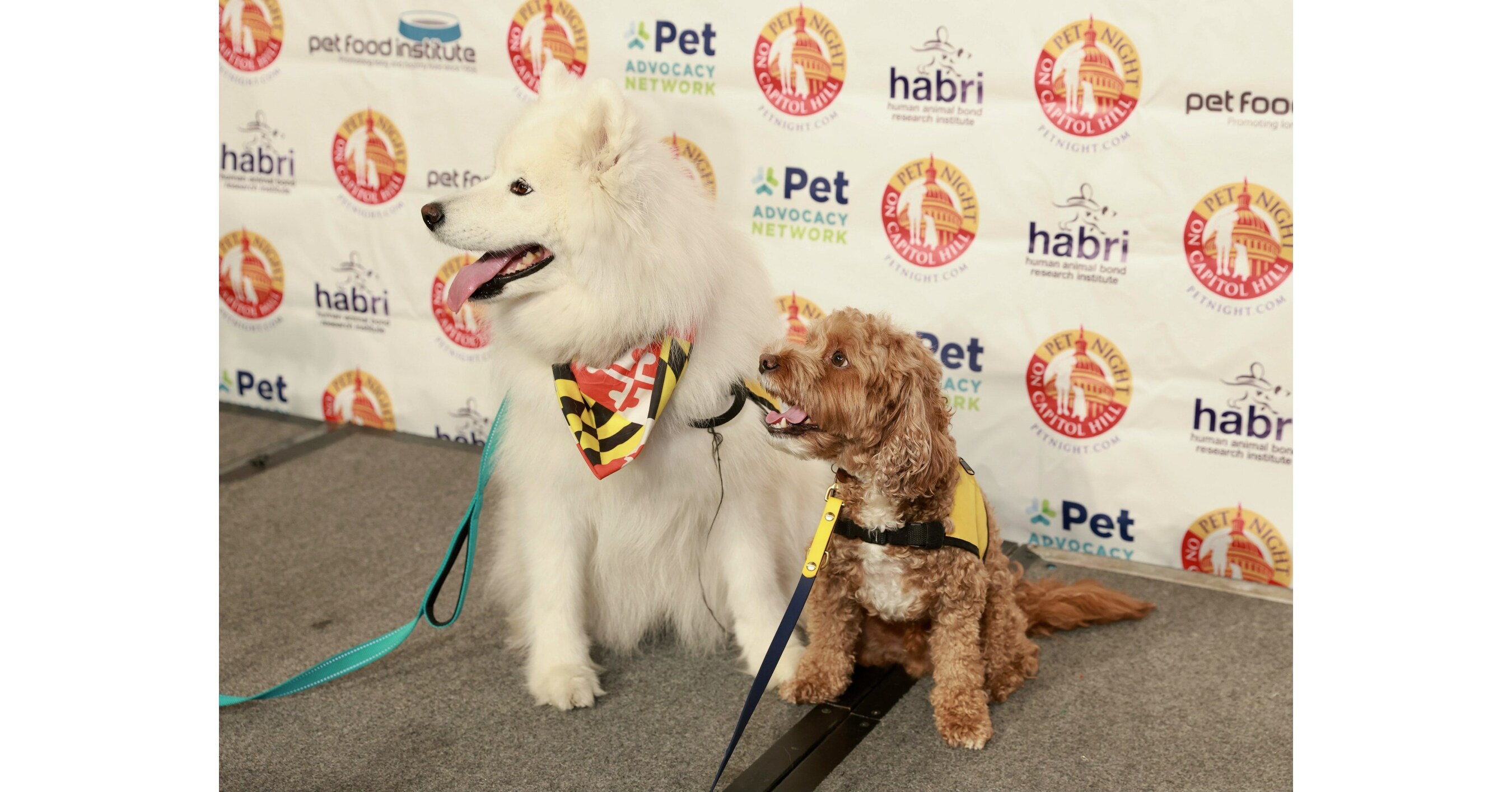 Pet Night on Capitol Hill Celebrates America's Love of Pets