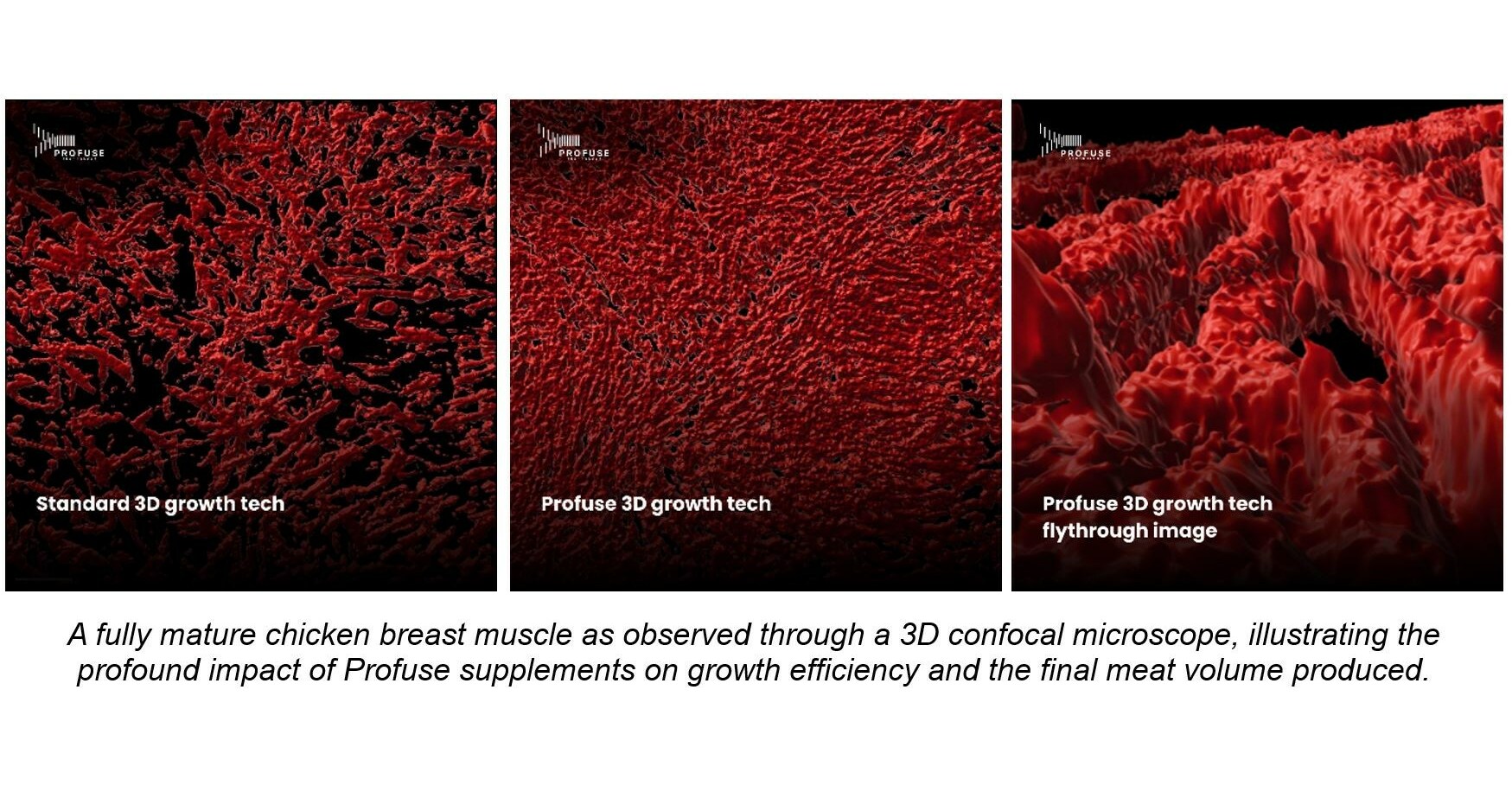 Profuse Technology Unveils Revolutionary Advancements in 3D Cultivated ...