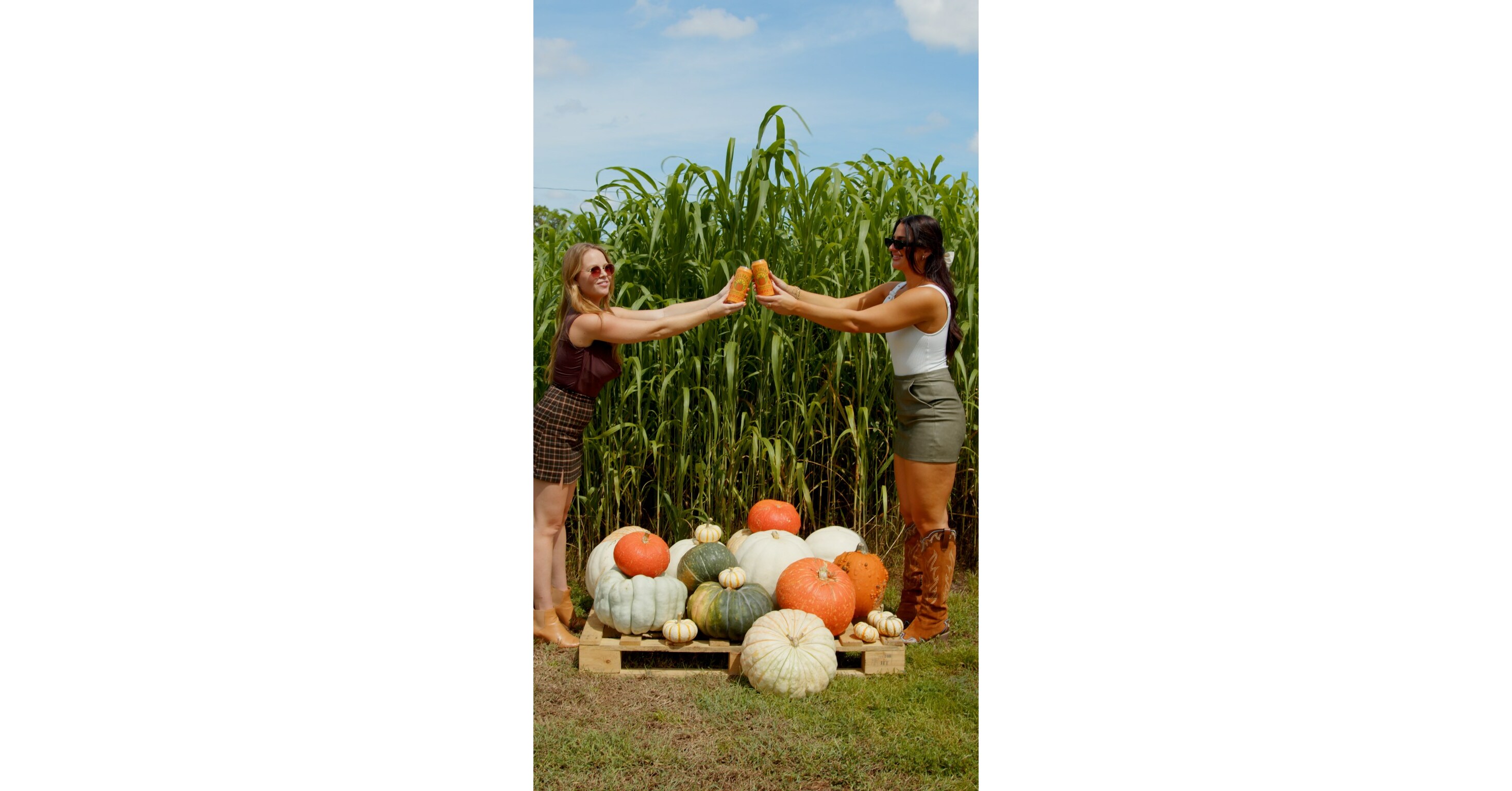 Navigate a Corn Maze, Pick Your Pumpkin, Ride a Camel and Taste the ...