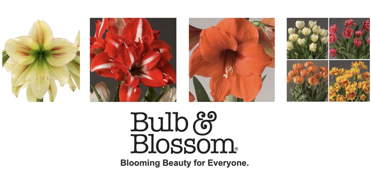 Bulb and Blossom Is a Flower Lover's Paradise Featuring Over 50 New ...