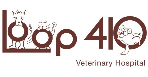 Loop 410 Veterinary Hospital Relocates to State-of-the-Art Facility ...