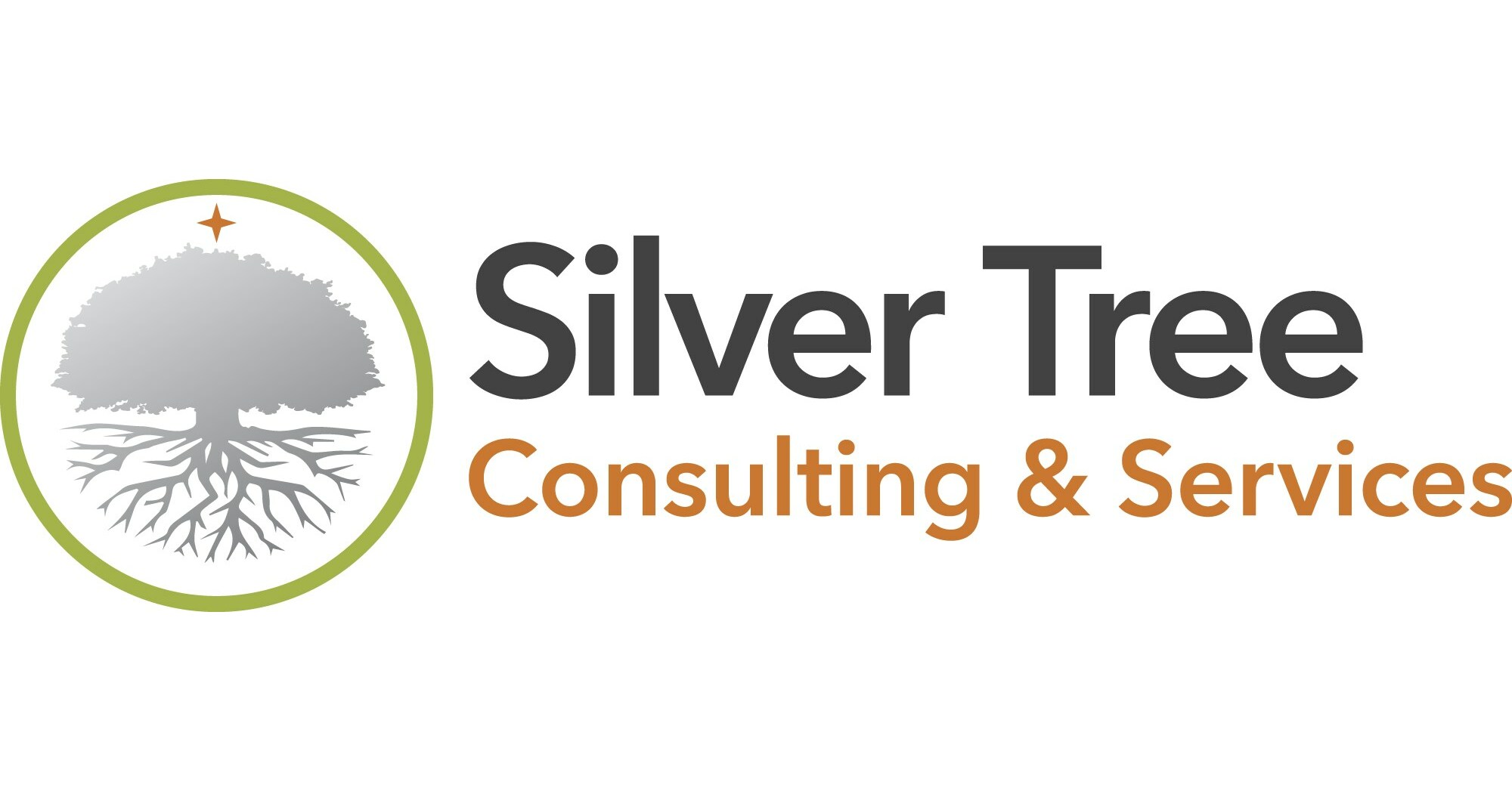 Silver Tree Launches VIGILANCE, the Enterprise Services Management-as-a ...
