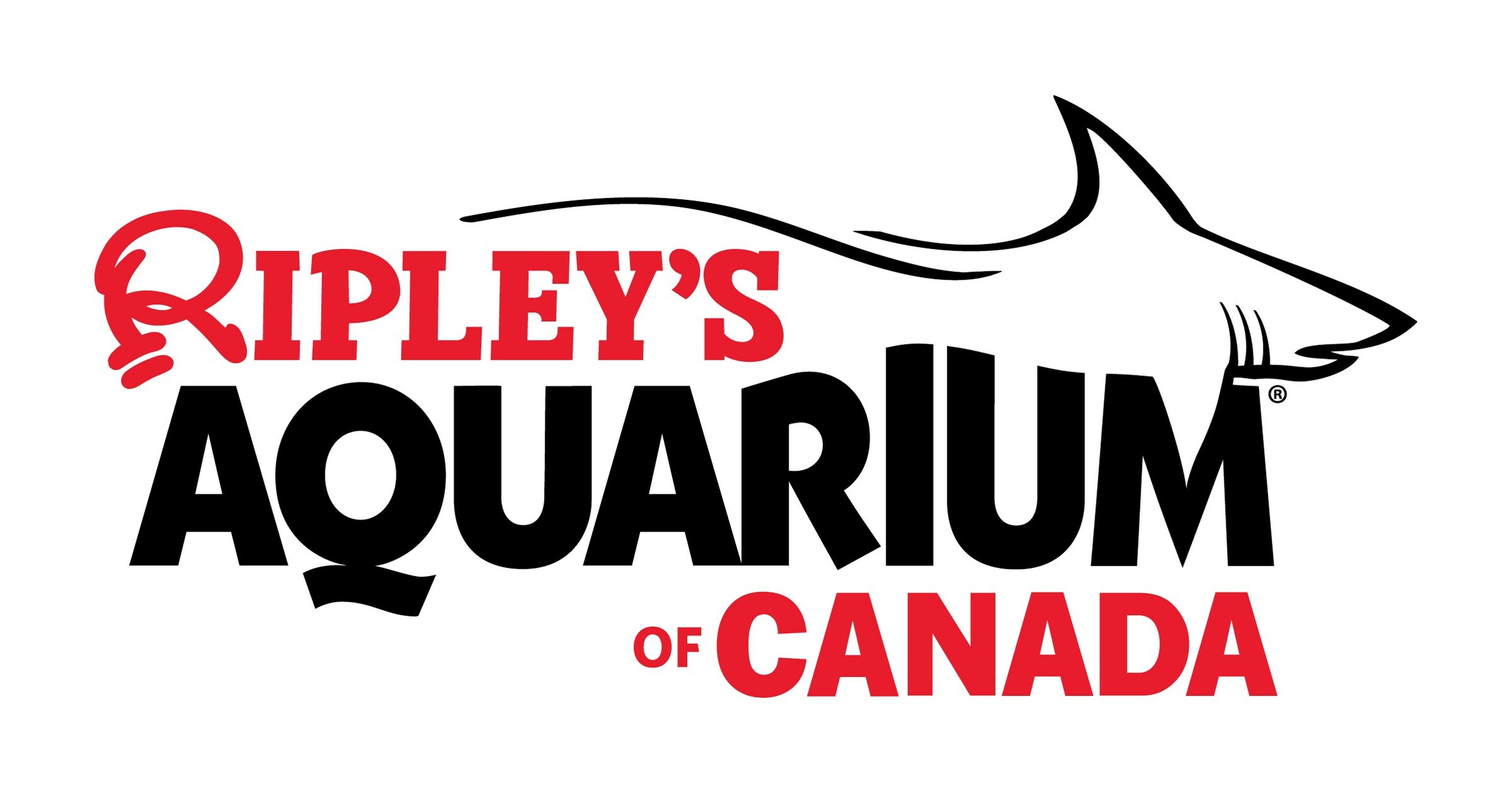 Ripley's Aquarium of Canada Celebrates 10th Birthday and Aims to Set a ...