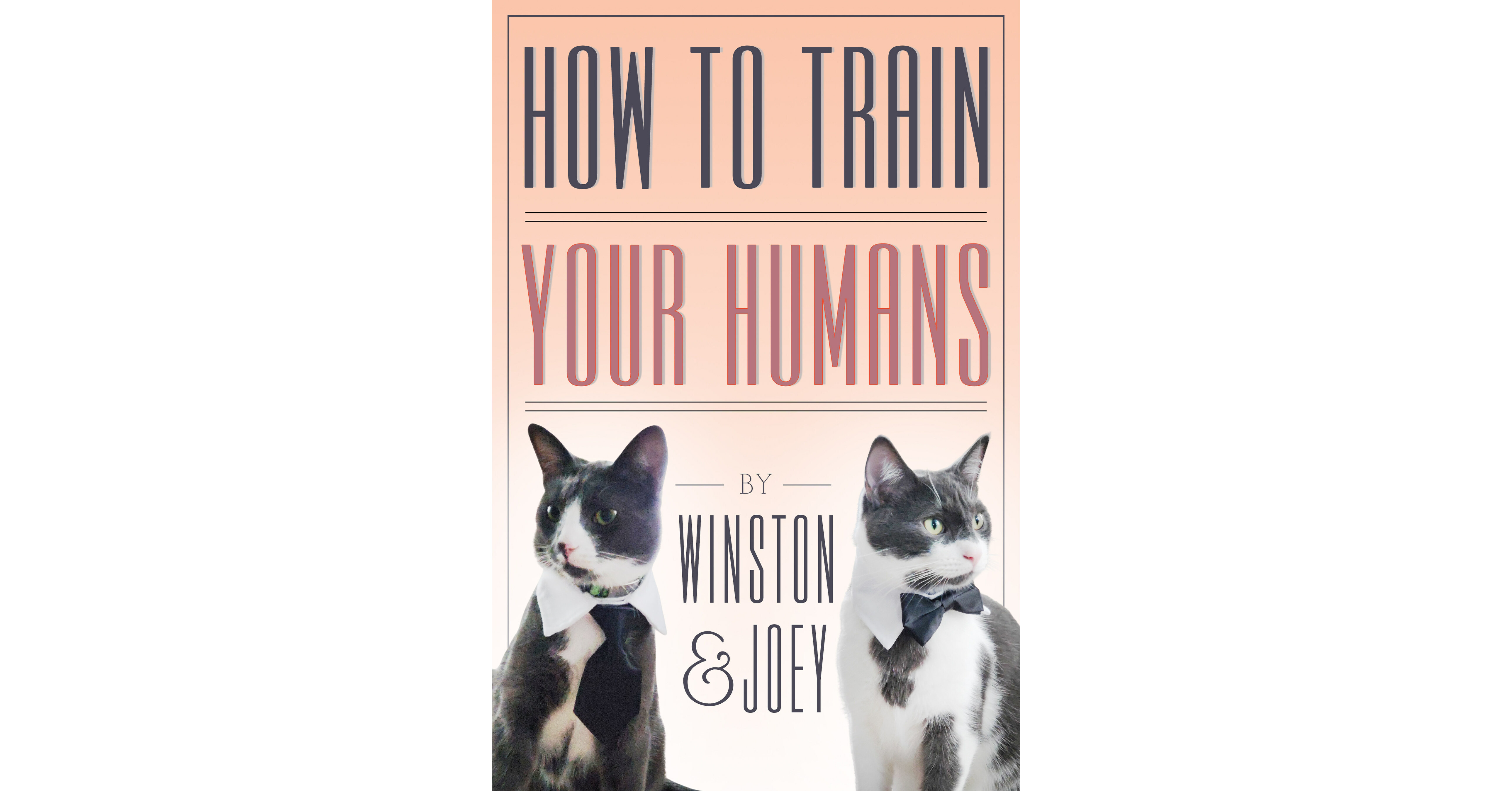 'How To Train Your Humans' Set to Release on Amazon: A Feline's Guide ...