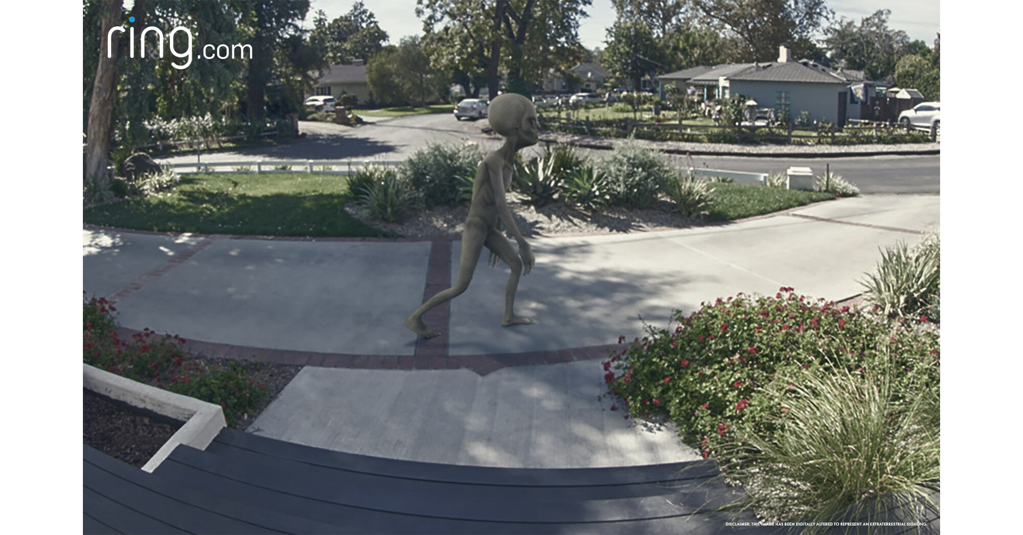 Ring Announces Million Dollar Search for Extraterrestrials This ...