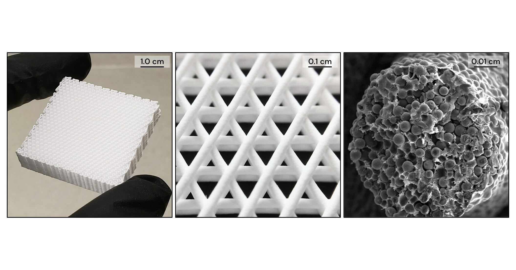 Dimension Inx Announces First Surgical Cases Utilizing CMFlex ...