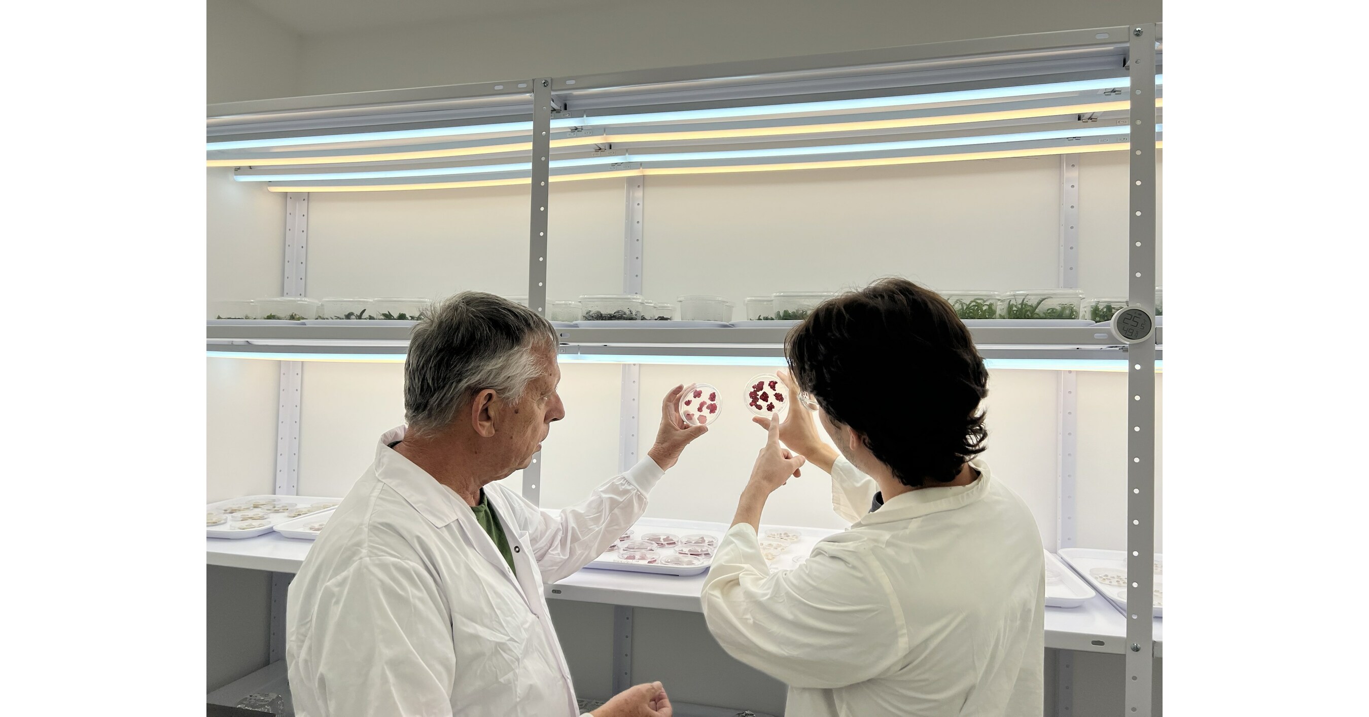 Nutri-Tech Start-up Novella Debuts New Line of Whole-Cell Cultivated ...