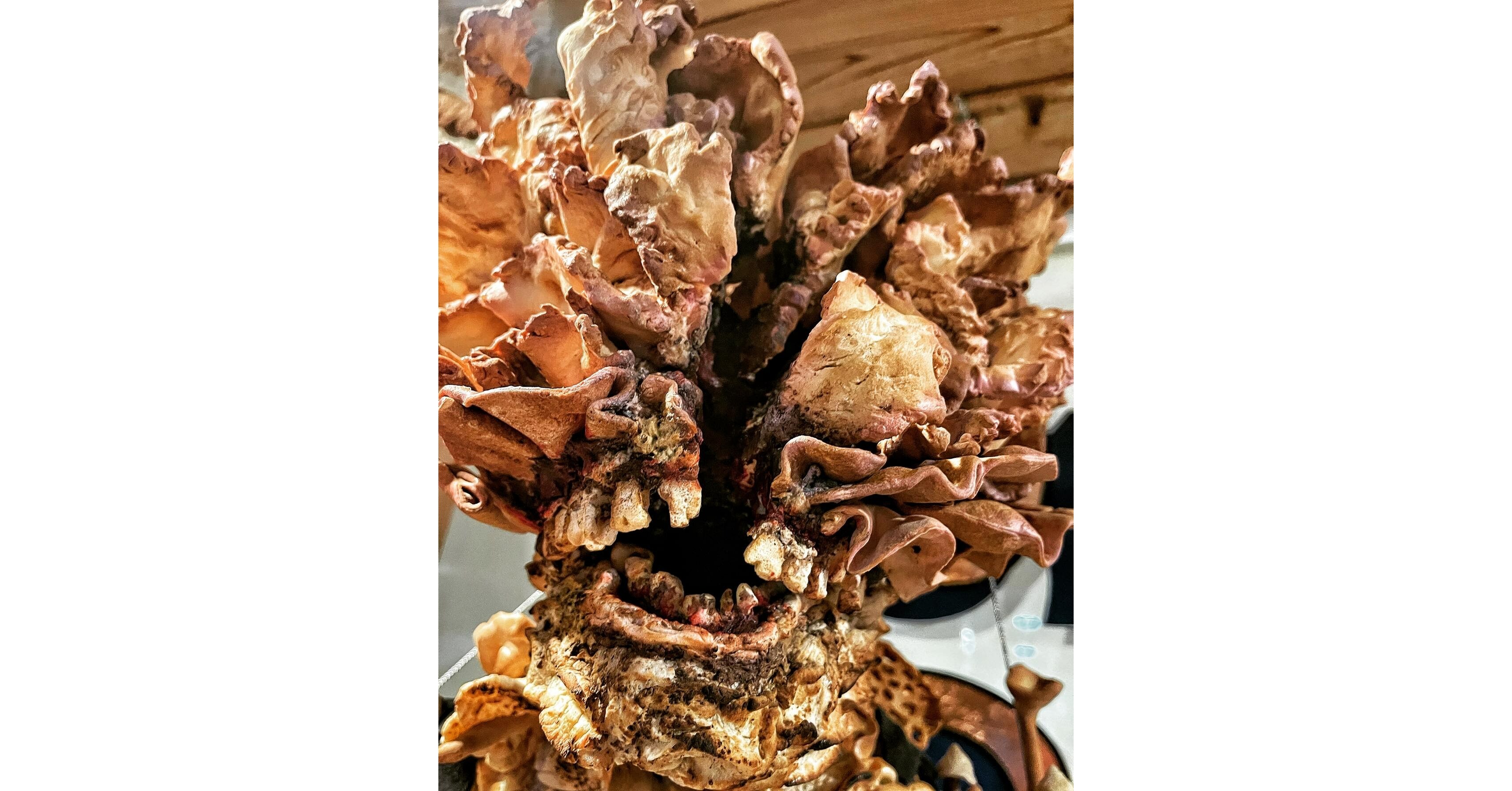 Bakery Creates Life-Size Bread Sculpture From "The Last of Us"