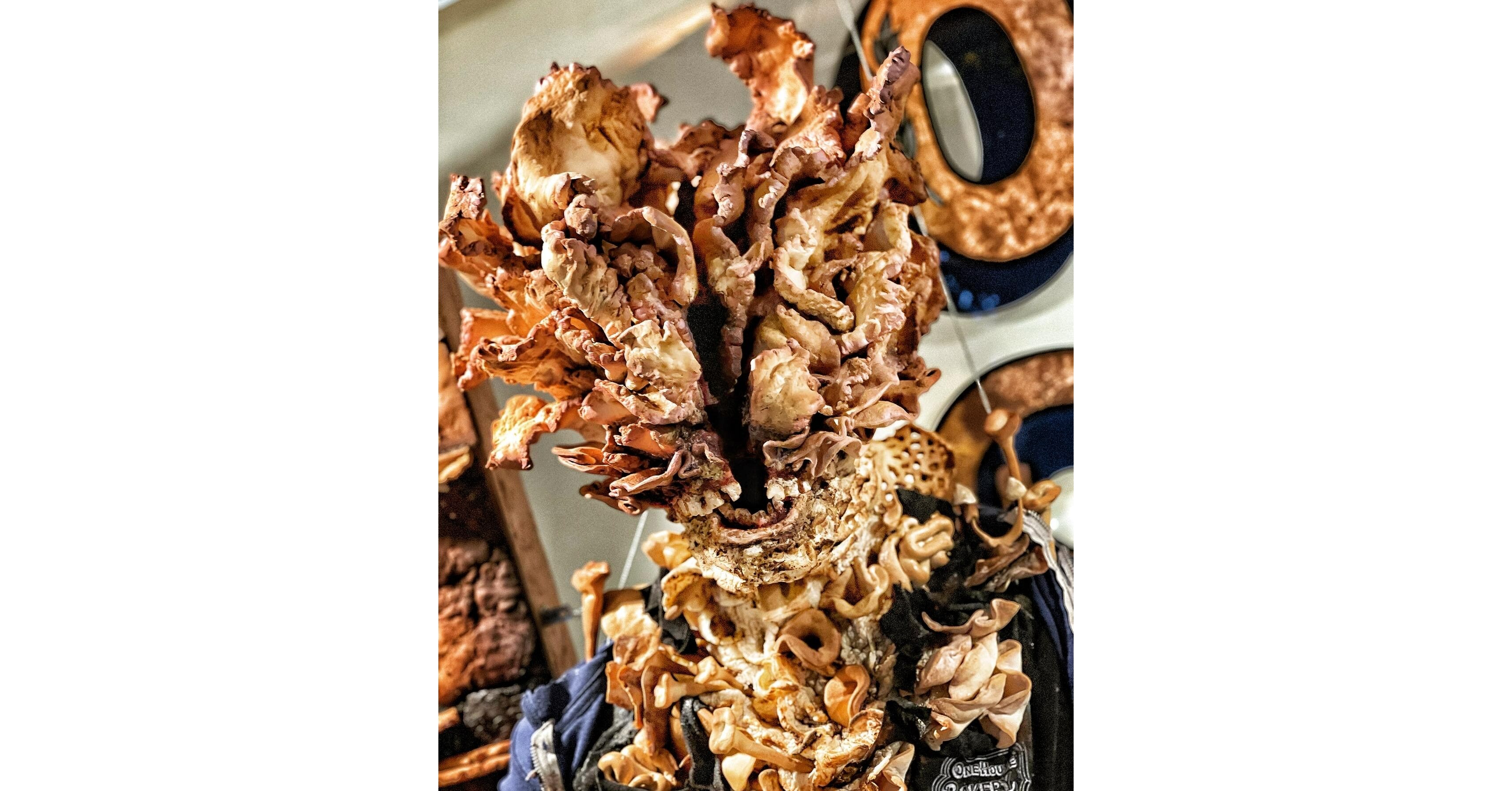 Bakery Creates Life-Size Bread Sculpture From "The Last of Us"