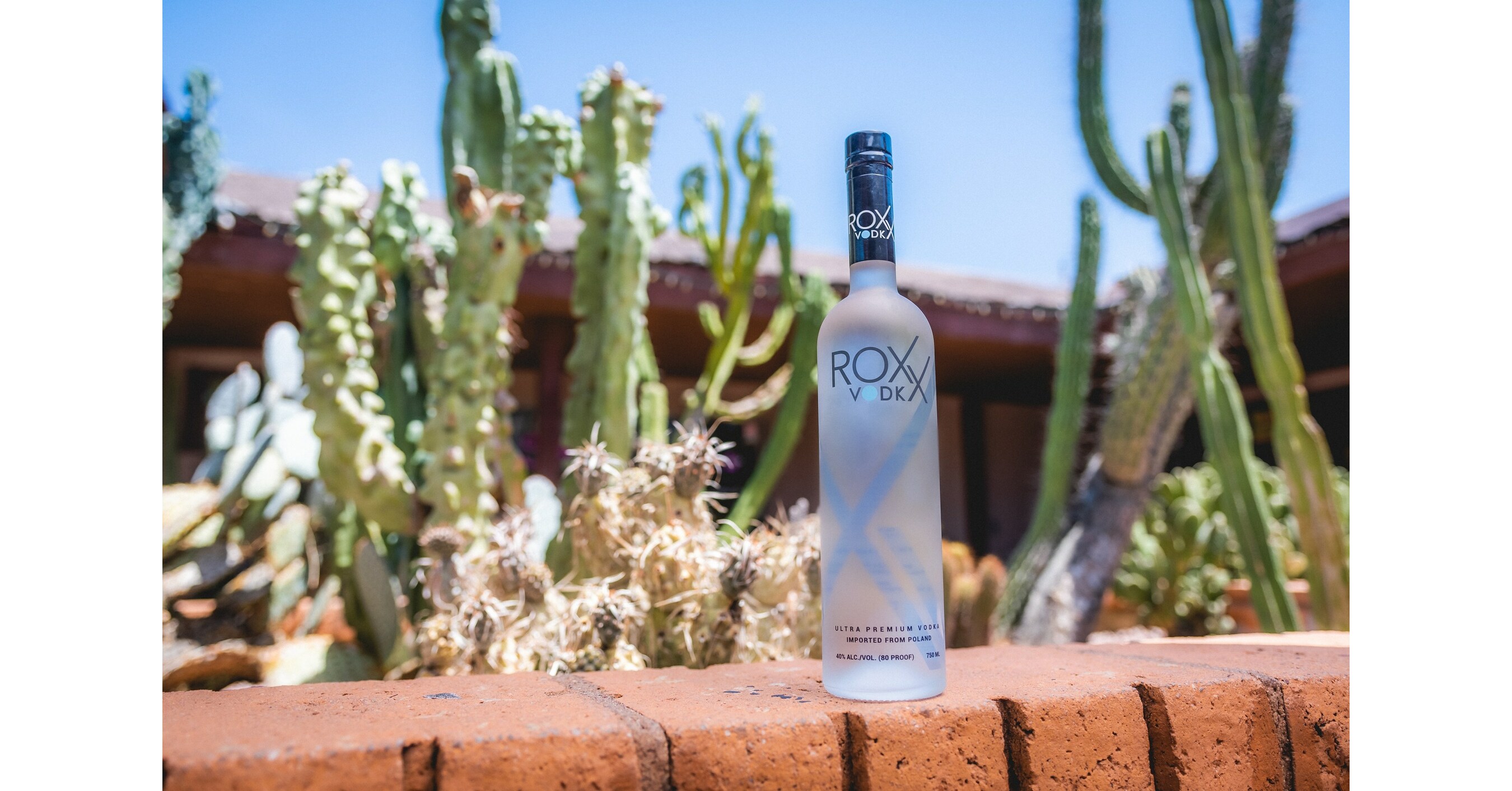ROXX Vodka Partners with Premier Scottsdale Bachelorette Services