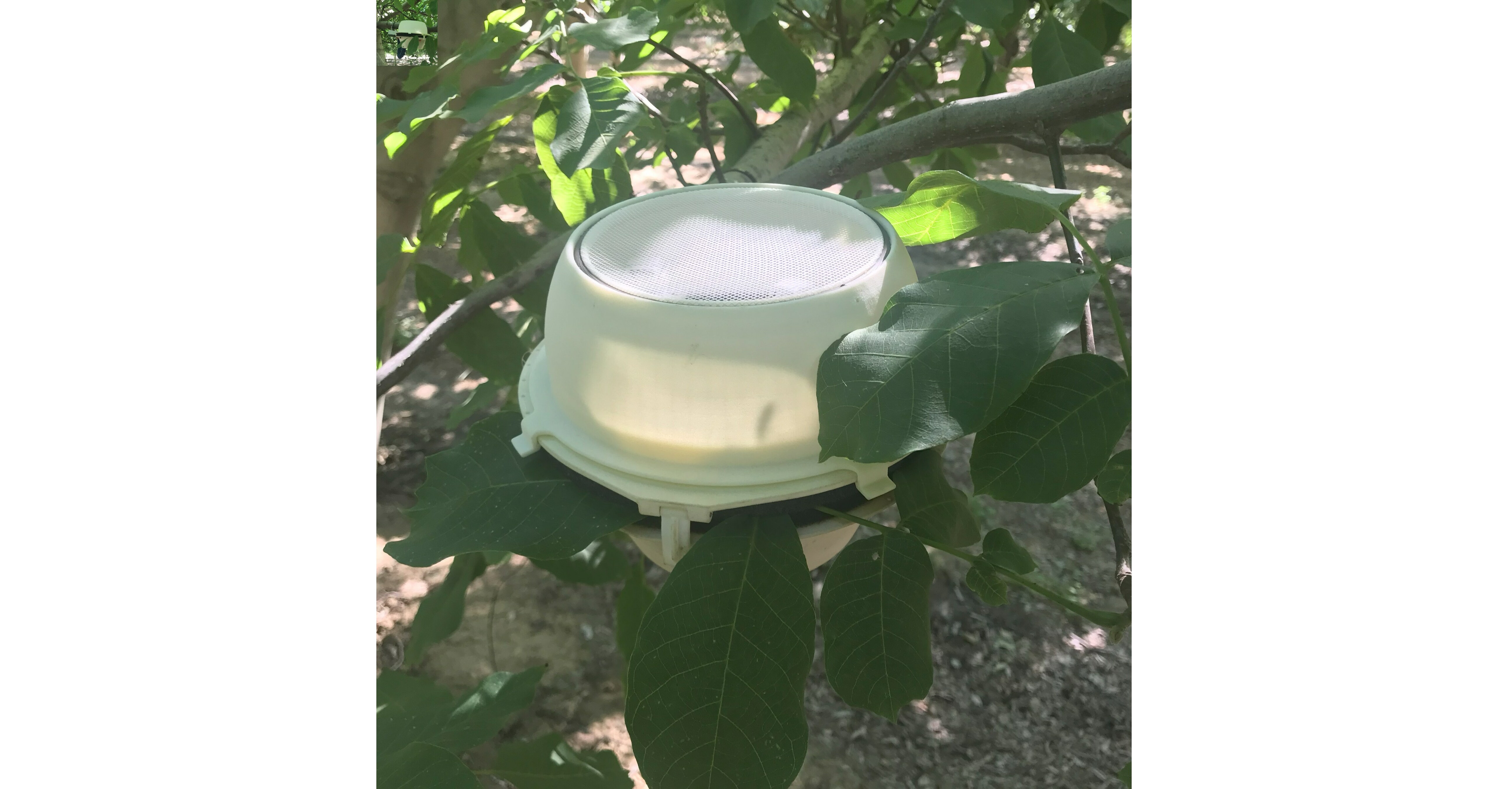 LeafMon! - an Innovative Non-Invasive Crop Monitoring System Developed ...