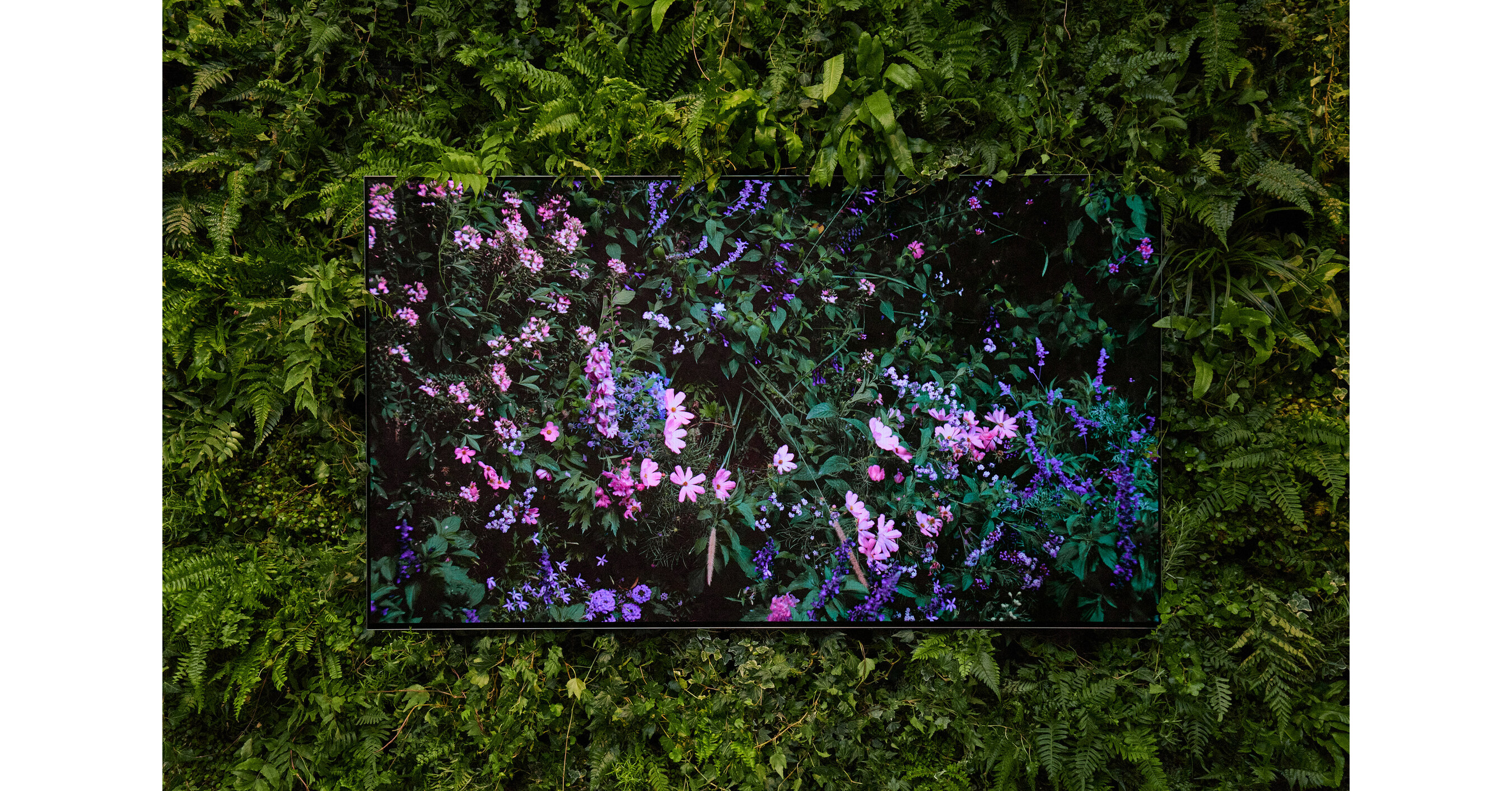 LG OLED INSPIRES A NEW REALM OF DIGITAL ART AT FRIEZE LONDON