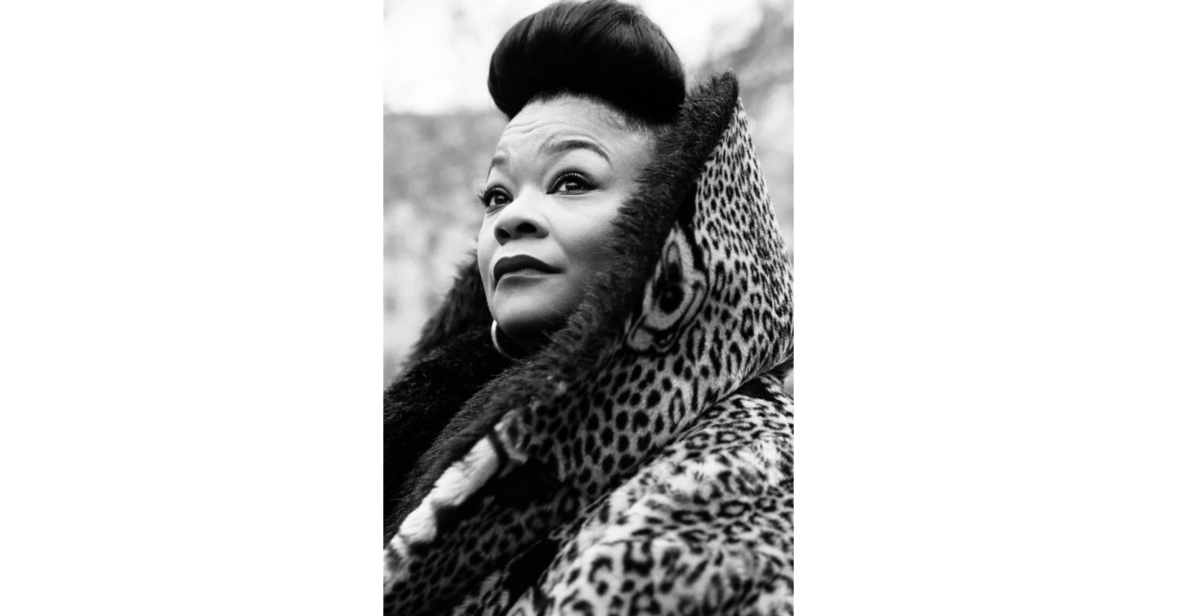 Ice T, Run DMC, Kurtis Blow, The Fat Boys, Roxanne Shante and The B ...