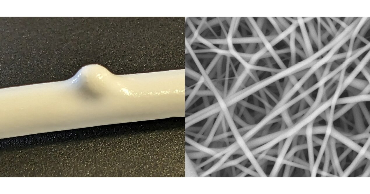 Frontier Bio Leads Medical Innovation with "Lab-Grown" Blood Vessel ...