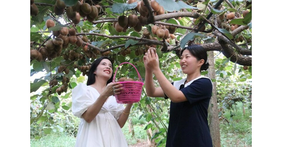 Xinhua Silk Road: Fengxin County in E. China's Jiangxi celebrates ...