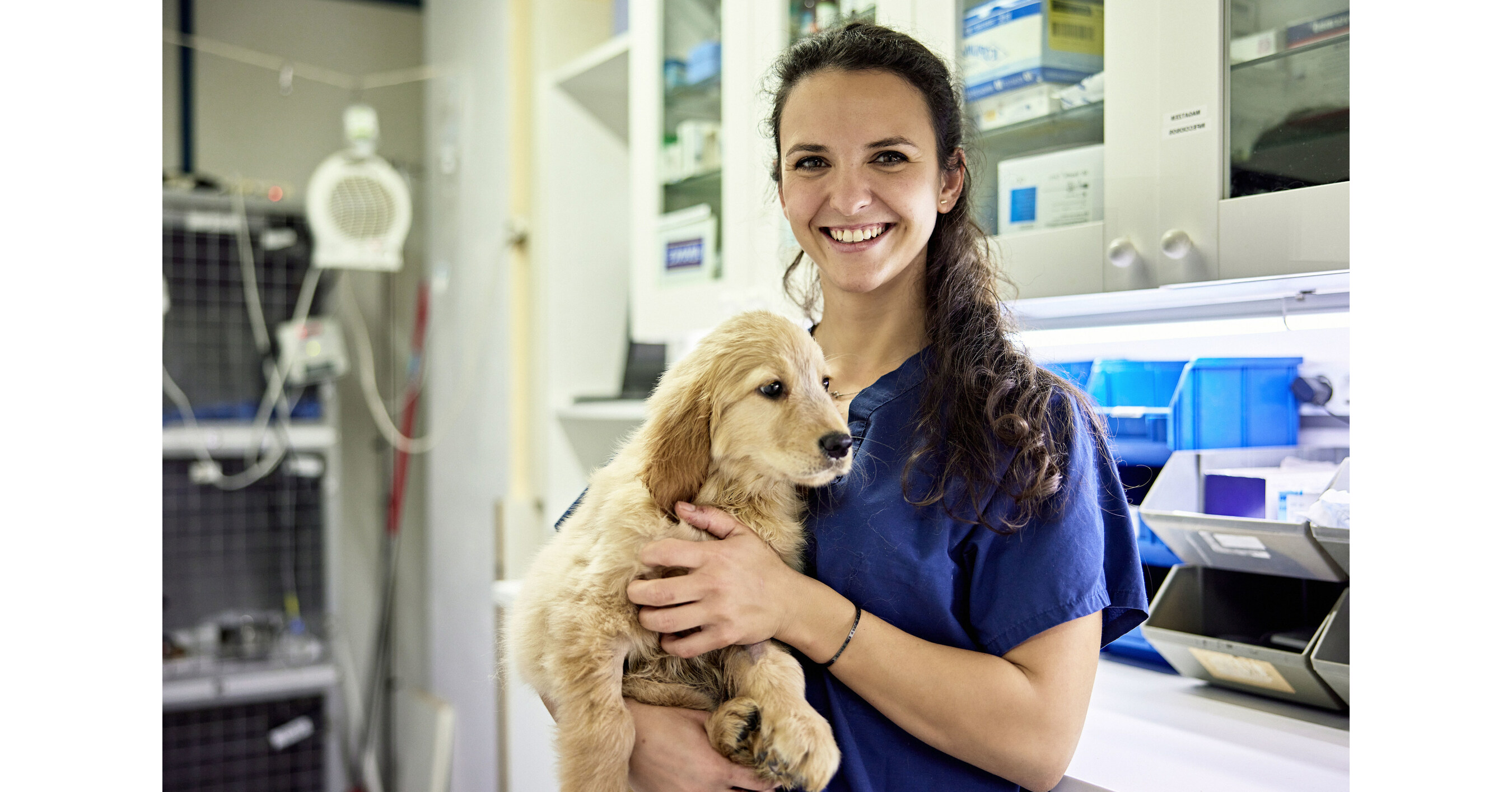 COVETRUS® PARTNERS WITH THE AMERICAN VETERINARY MEDICAL ASSOCIATION ...