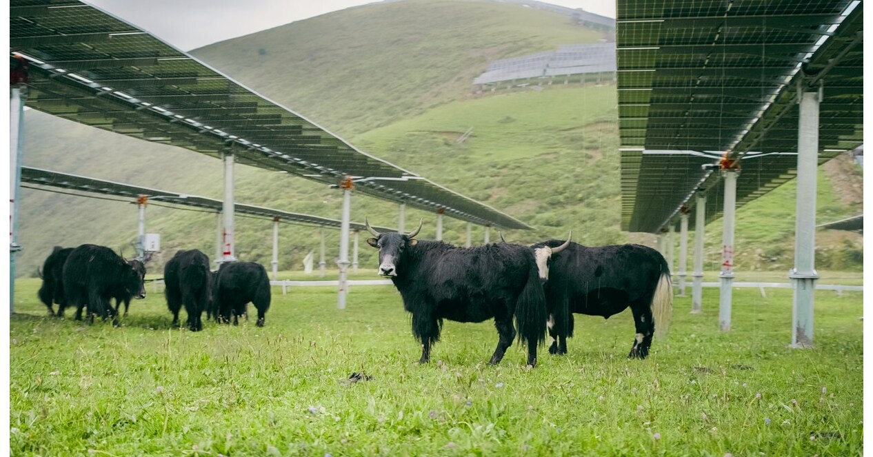 Light Up the Land Where Solar and Hydro Meet at the World's Largest ...
