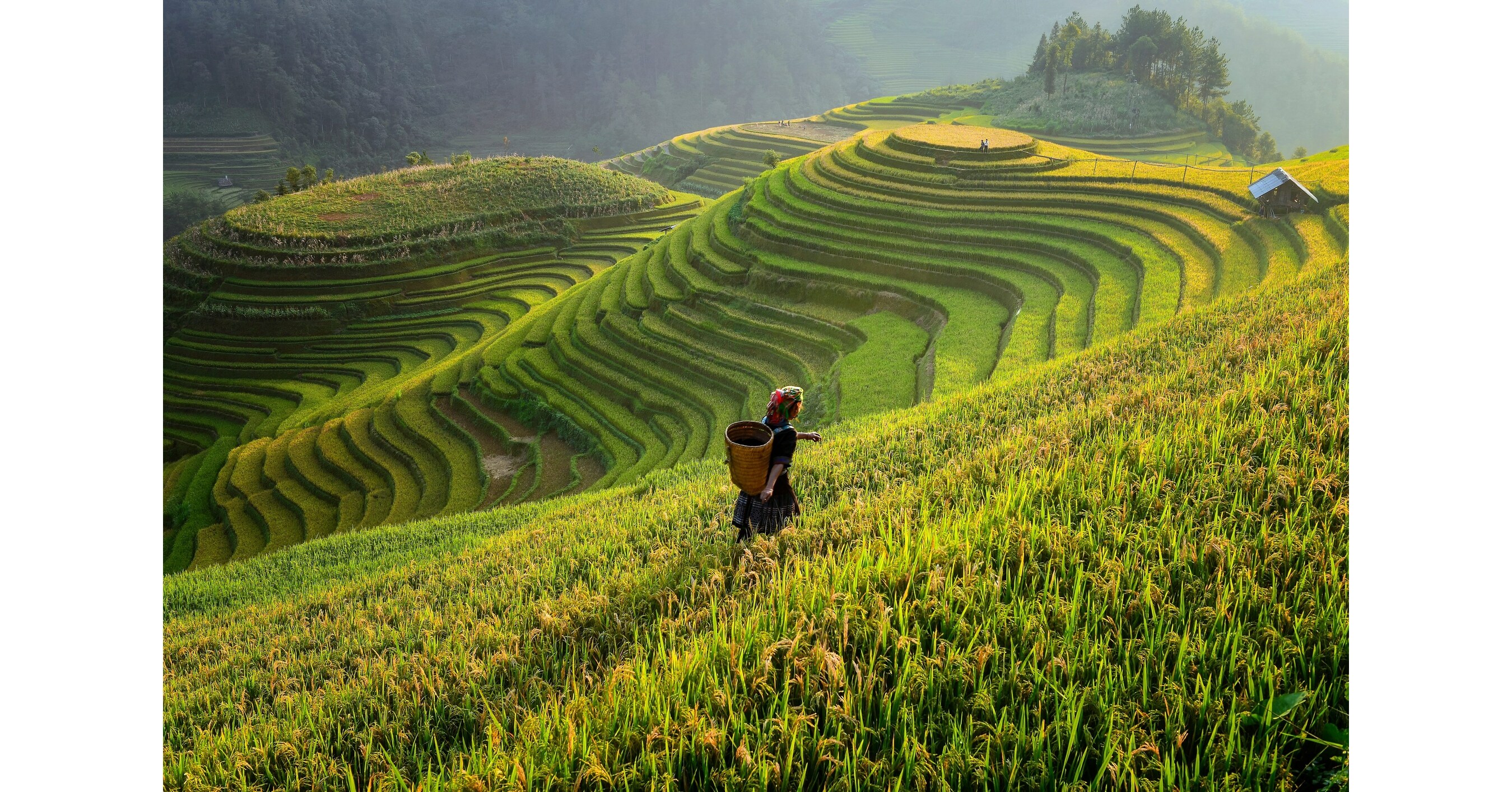 REALM Events Paves Way for Sustainable Supply Chains through Innovative ...