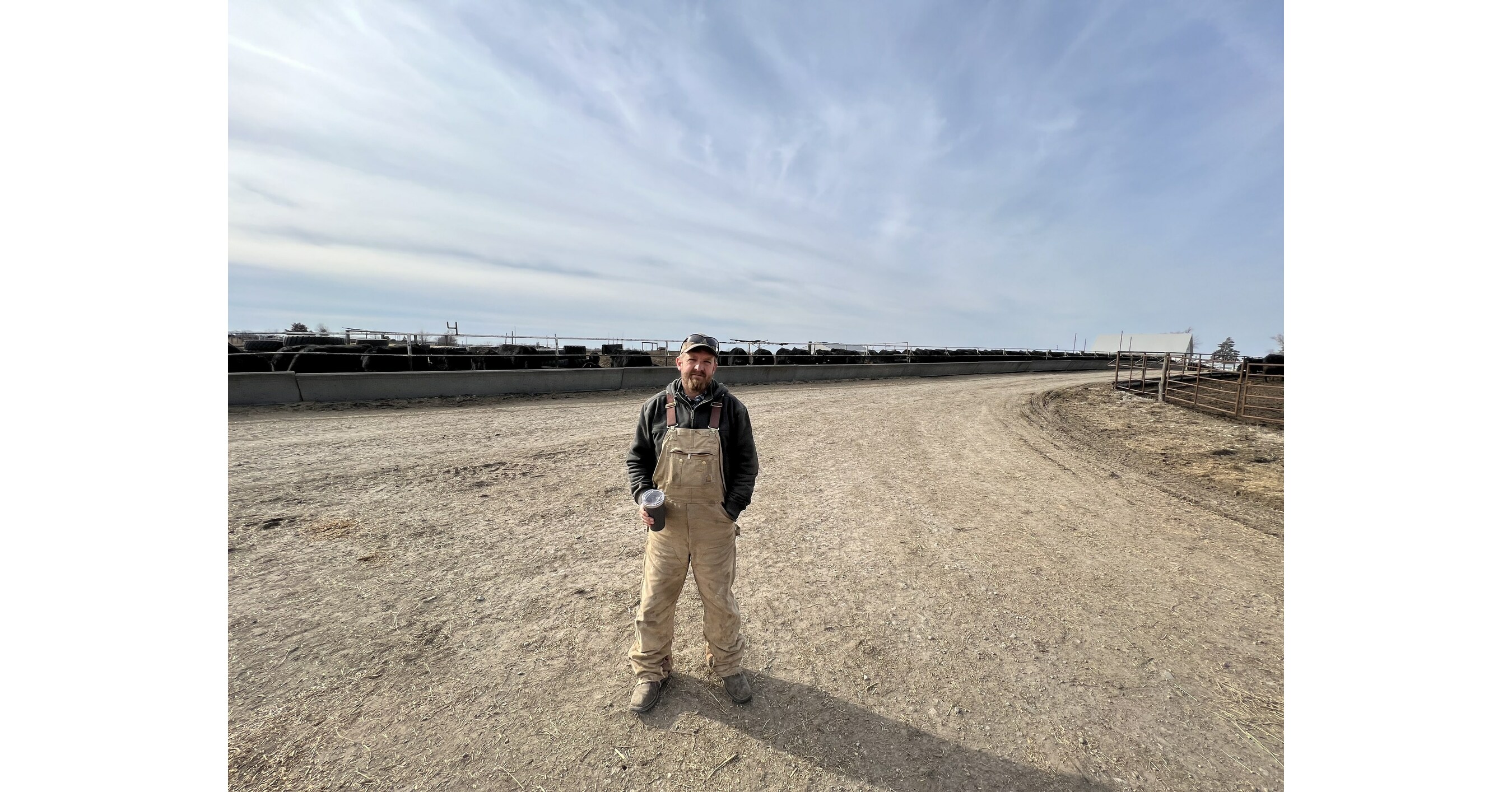 Argentine Agtech startup 'Cattler' is gaining ground among US beef ...