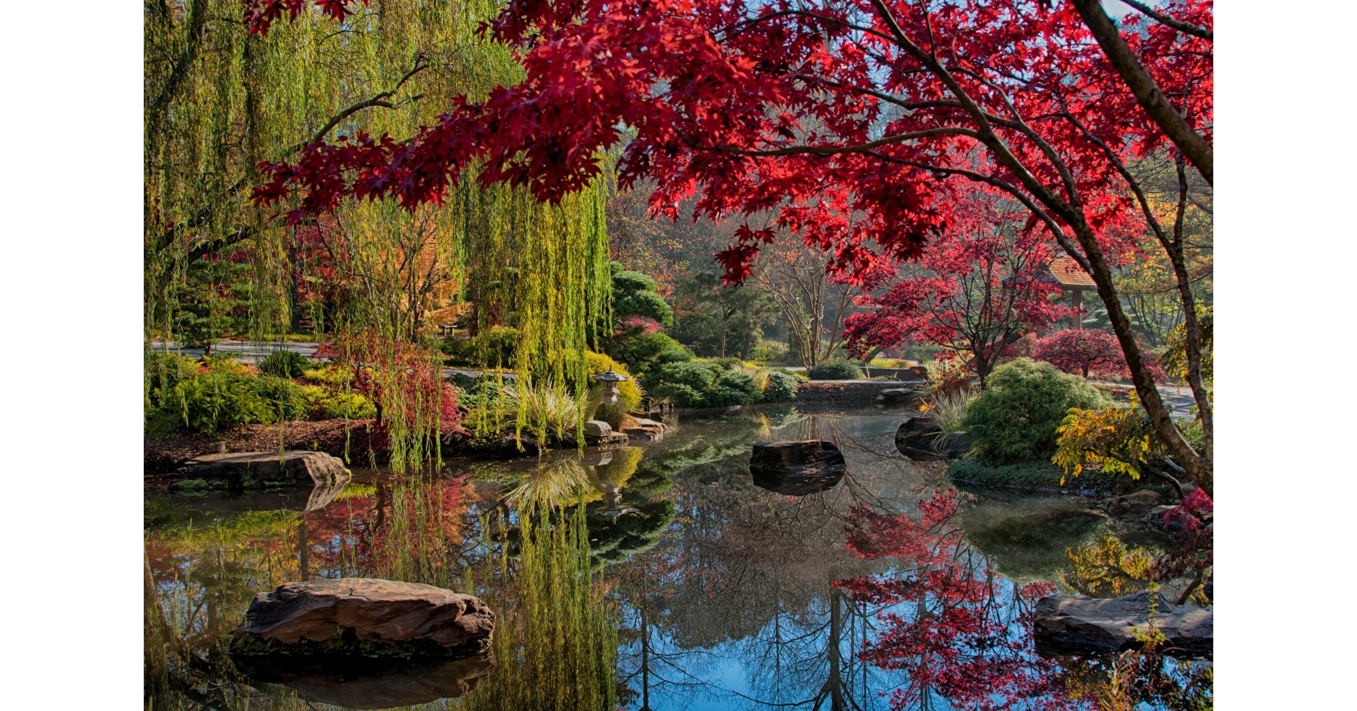 Gibbs Gardens: Autumn Wonderland with Vibrant Amber Foliage