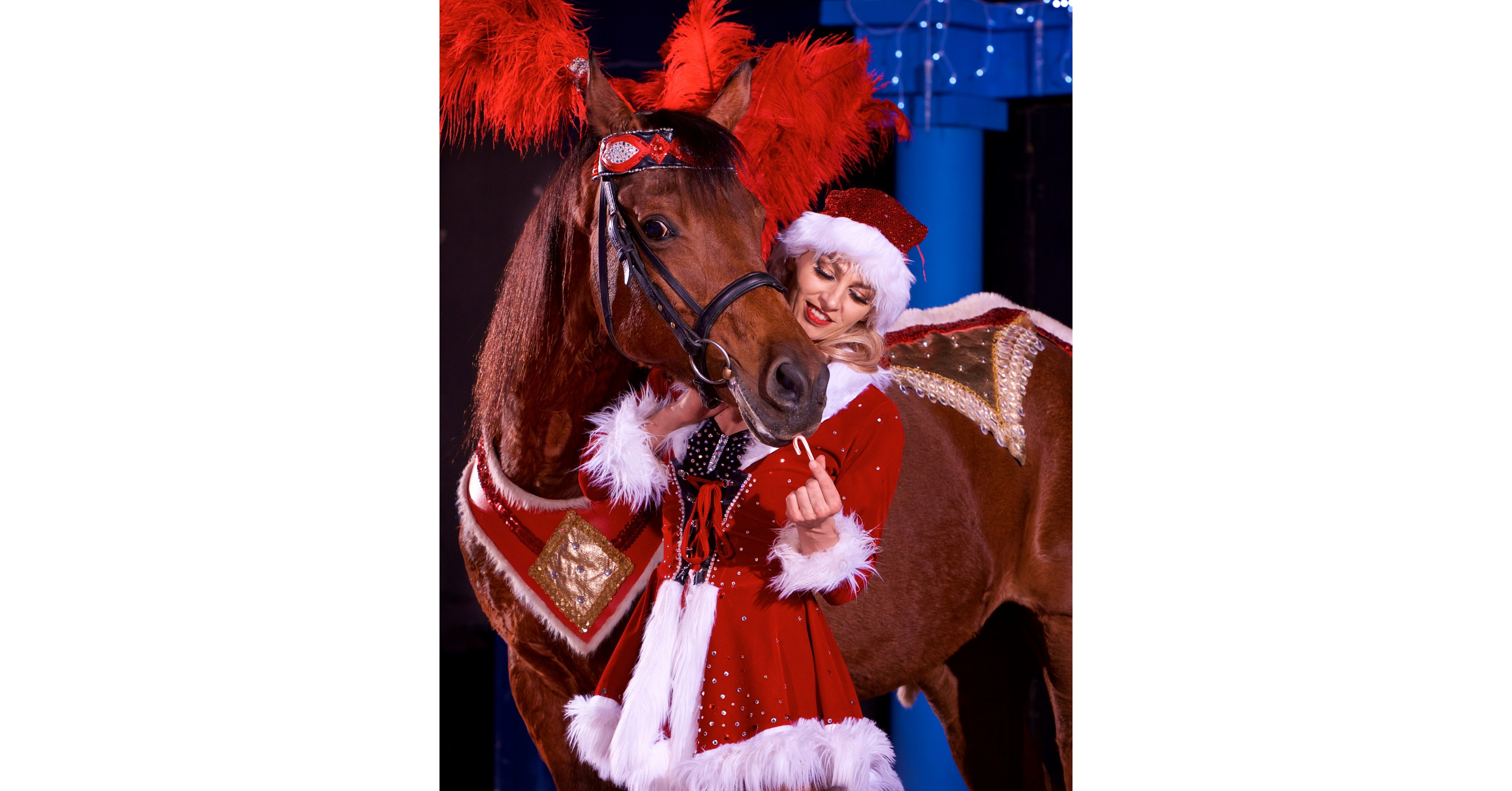 The Dancing Horses Theatre Unveils New Holiday Show in Lake Geneva ...