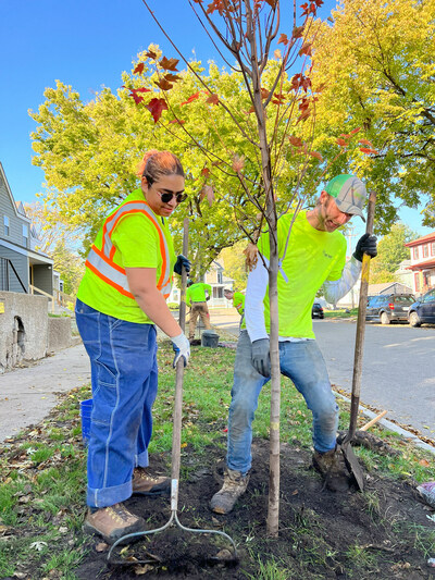 Saint Paul Area Students Collaborate with Tree Trust to Plant 206 Trees ...