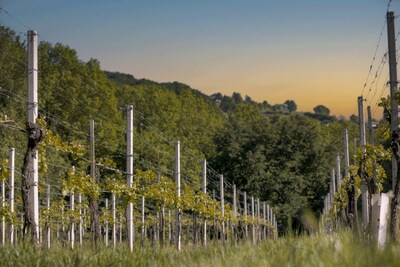 JENSEN PRECAST LAUNCHES HARVEST PILLAR BRINGING CONCRETE TRELLIS POSTS ...