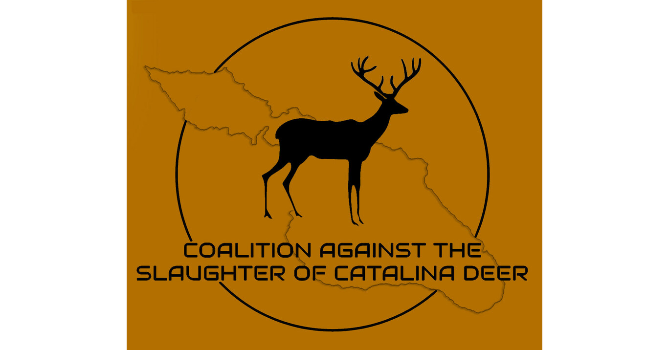 More than Half of Catalina Island's Residents Publicly Oppose Proposed ...