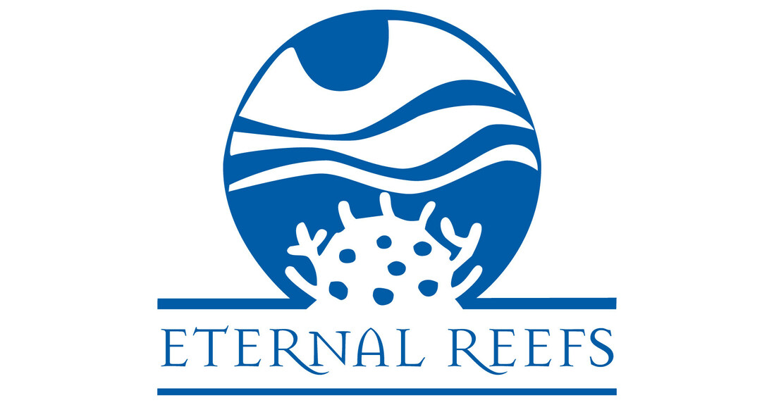 Block Party on Nov. 11 Marks 25th Anniversary of Eternal Reefs and 5th ...