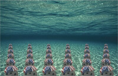 Block Party on Nov. 11 Marks 25th Anniversary of Eternal Reefs and 5th ...