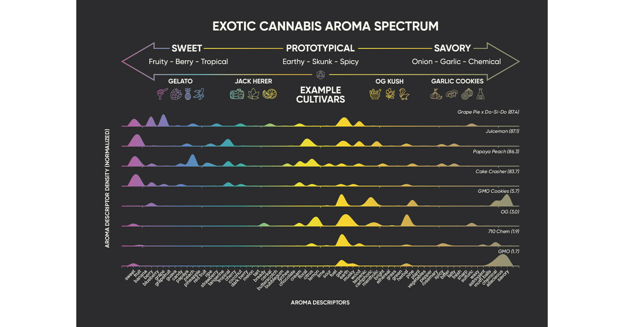 Abstrax Unveils Revolutionary Insights into Cannabis Aromatics in its ...