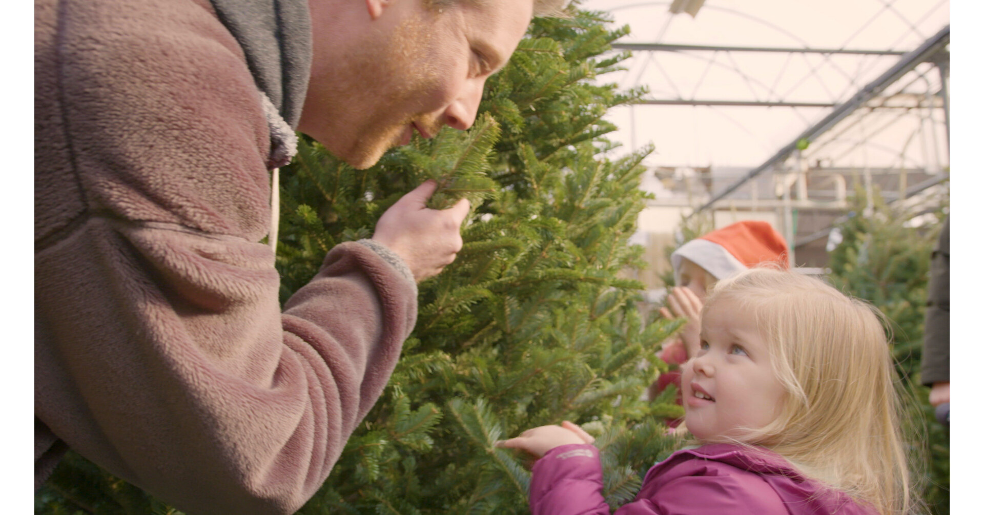 20% OF ANNUAL SURVEY RESPONDENTS ARE PLANNING TO BUY A REAL CHRISTMAS ...