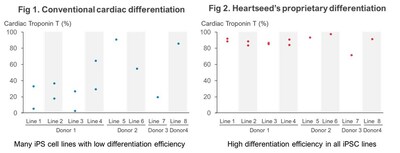 Using iPS Cells from I Peace, Heartseed Succeeds in Stable Production ...