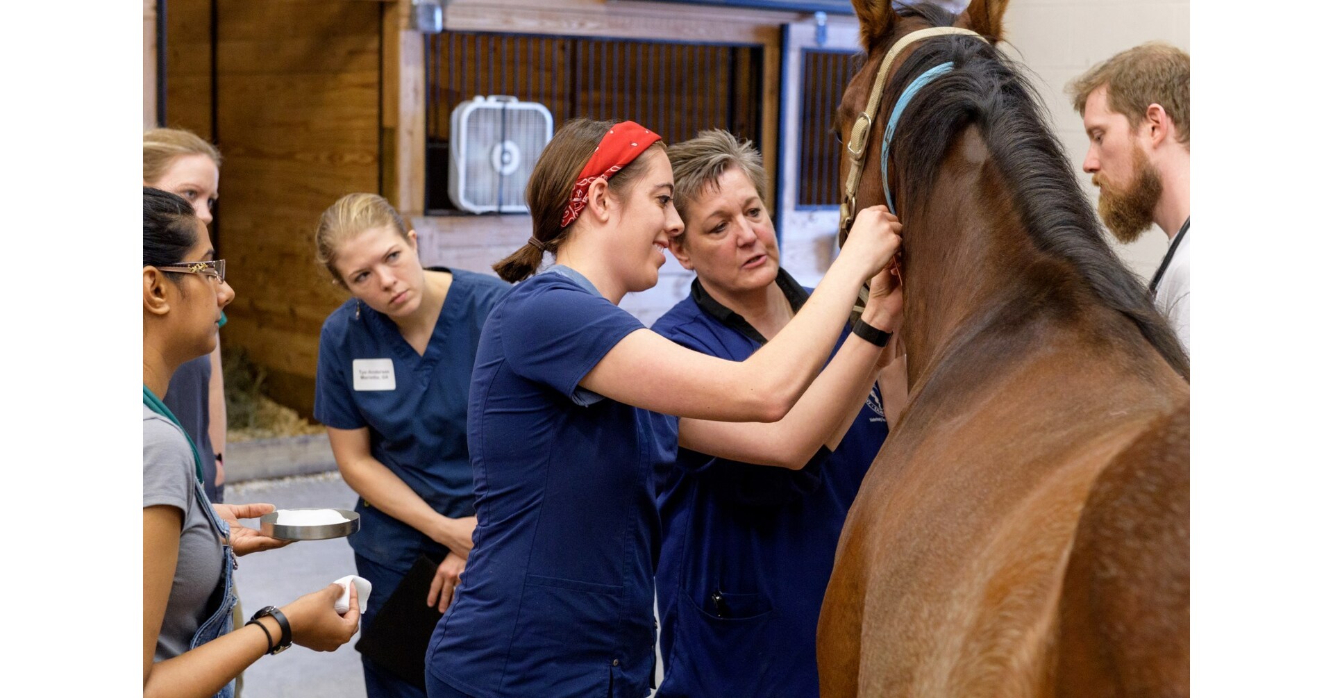 The North American Veterinary Community Commits $1 Million to Fund New ...