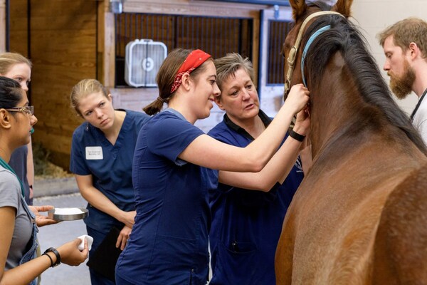 The North American Veterinary Community Commits $1 Million to Fund New ...
