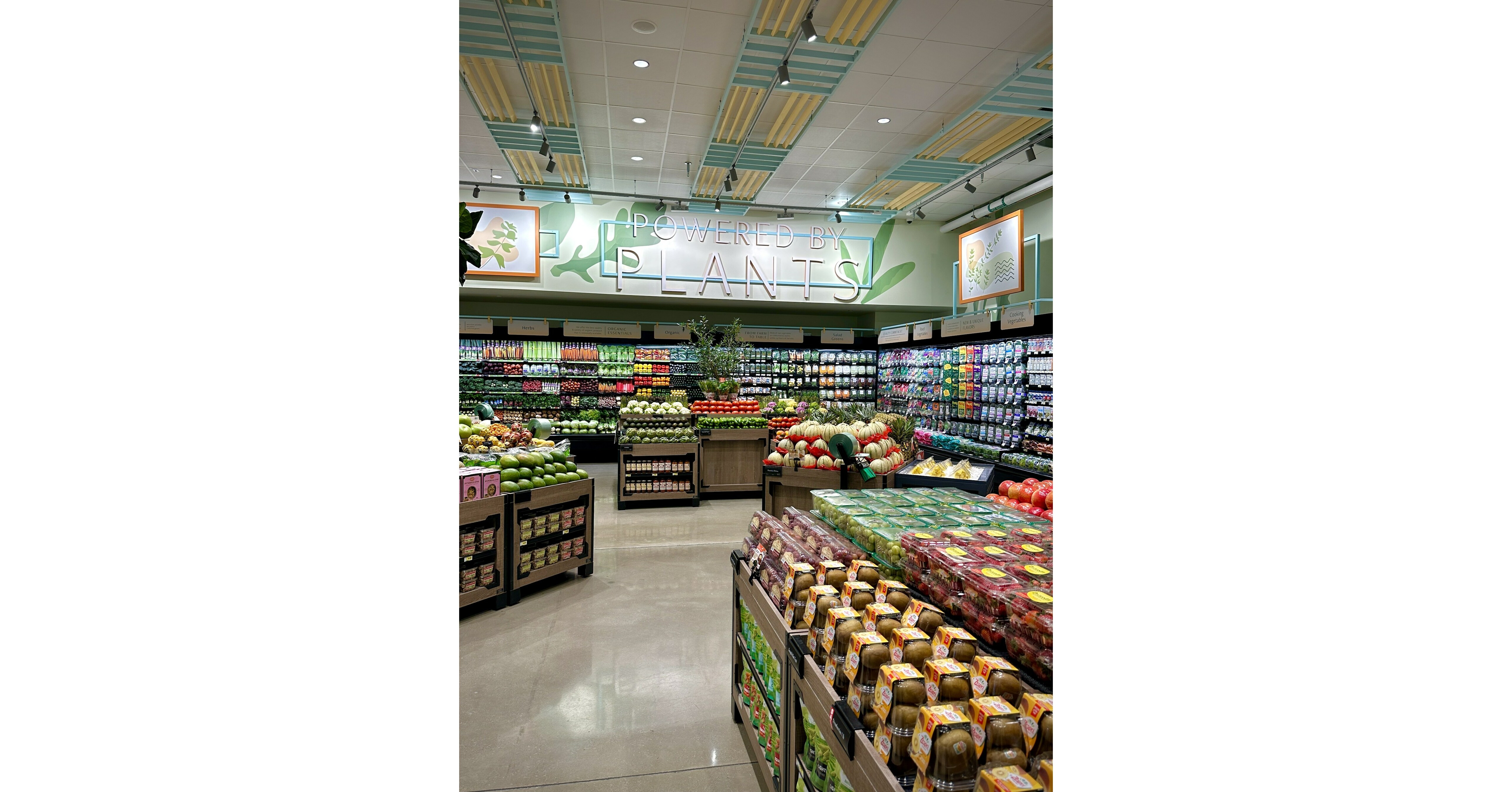 GELSON'S BRINGS NEW MODERN CHIC TO THE DESIGN OF ITS FIRST STORE IN ...