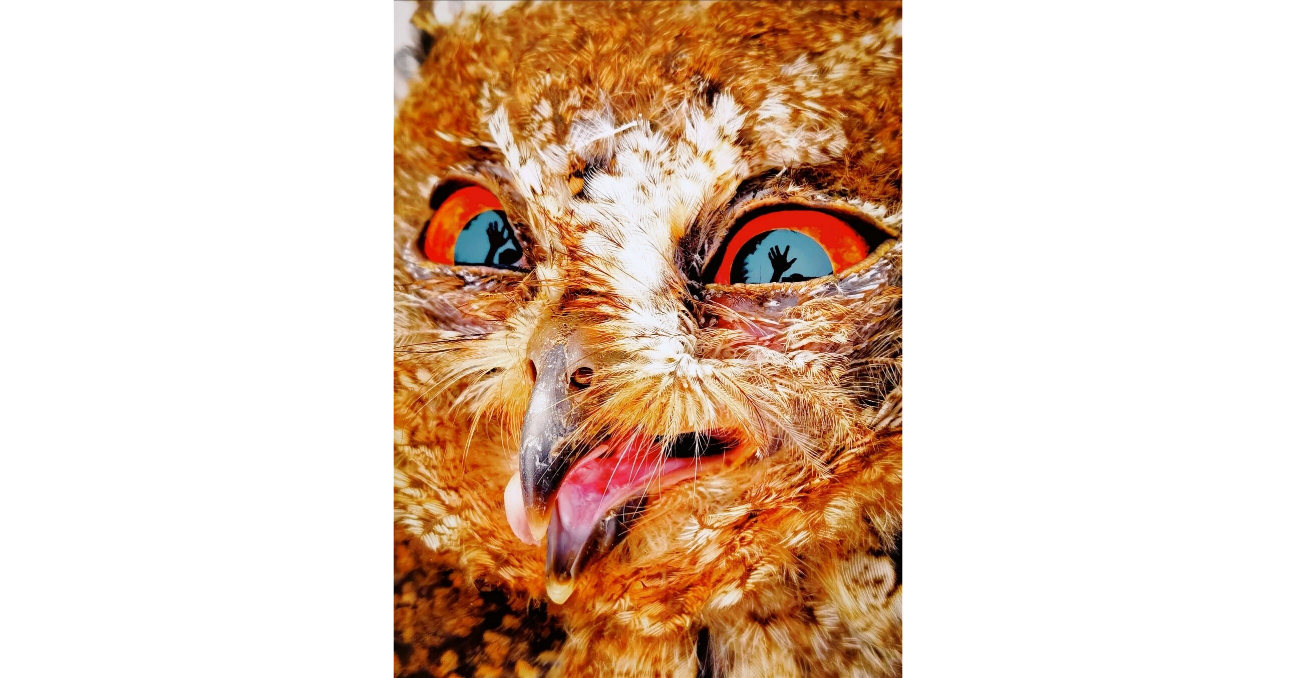 Huawei Announces the Winners of the XMAGE Awards 2023