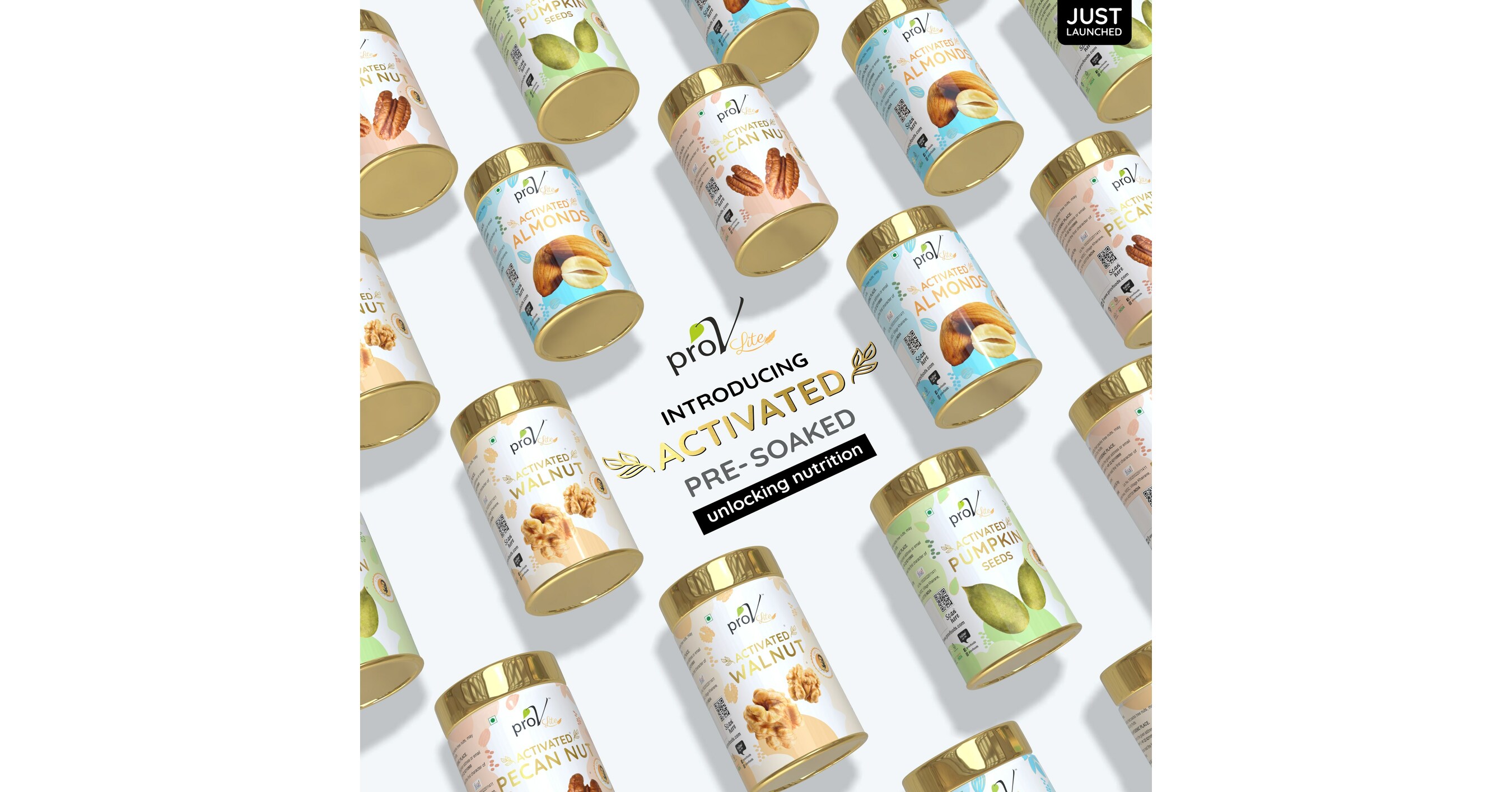 Rediscover Timeless Traditions and Embrace the Future with ProV Lite ...