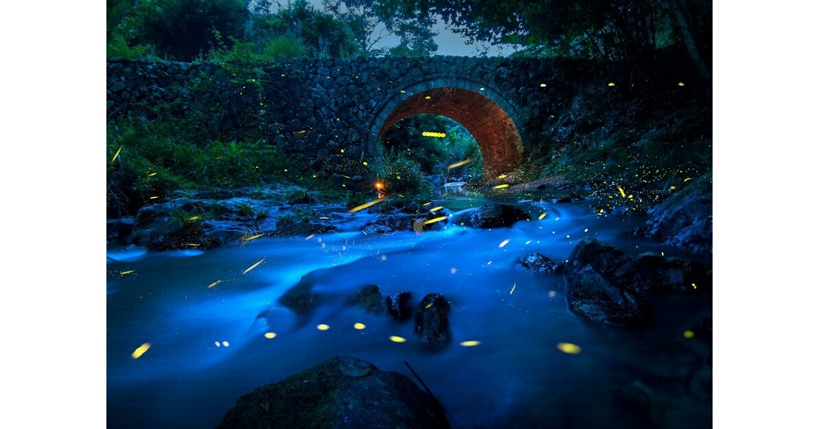 Huawei anuncia os vencedores do XMAGE Awards 2023