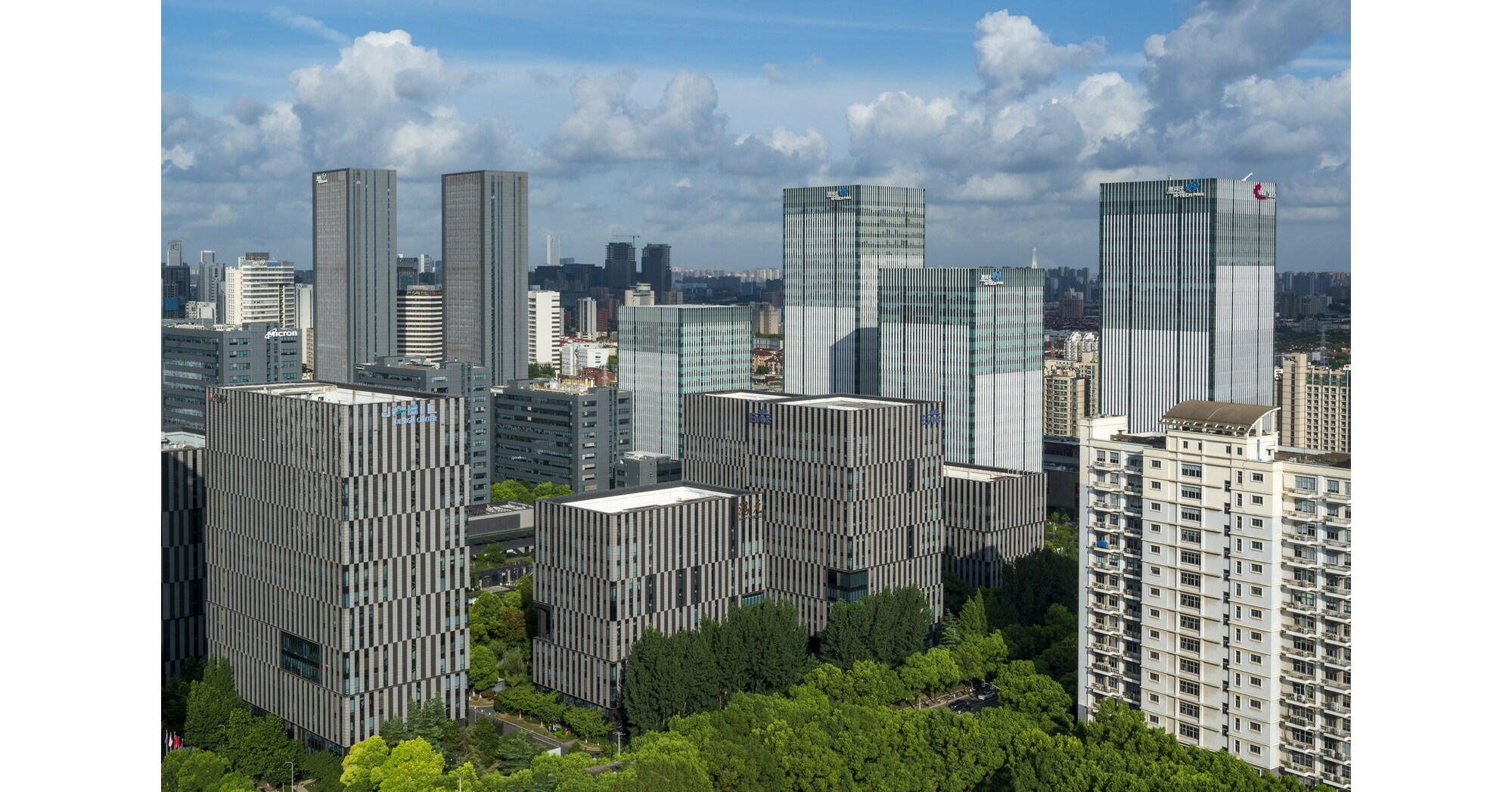 Lingang supports foreign companies to achieve high-quality growth in China